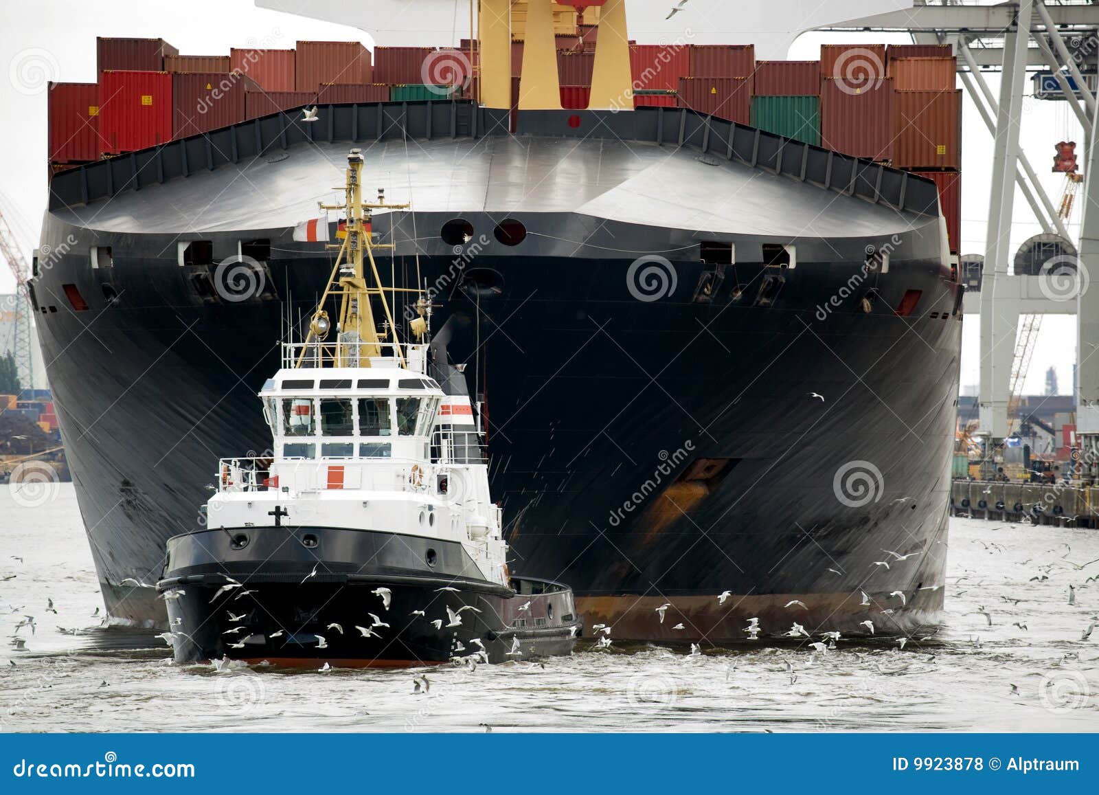 Het Slepende Vrachtschip Van De Sleepboot in Haven Stock Foto - Image ...