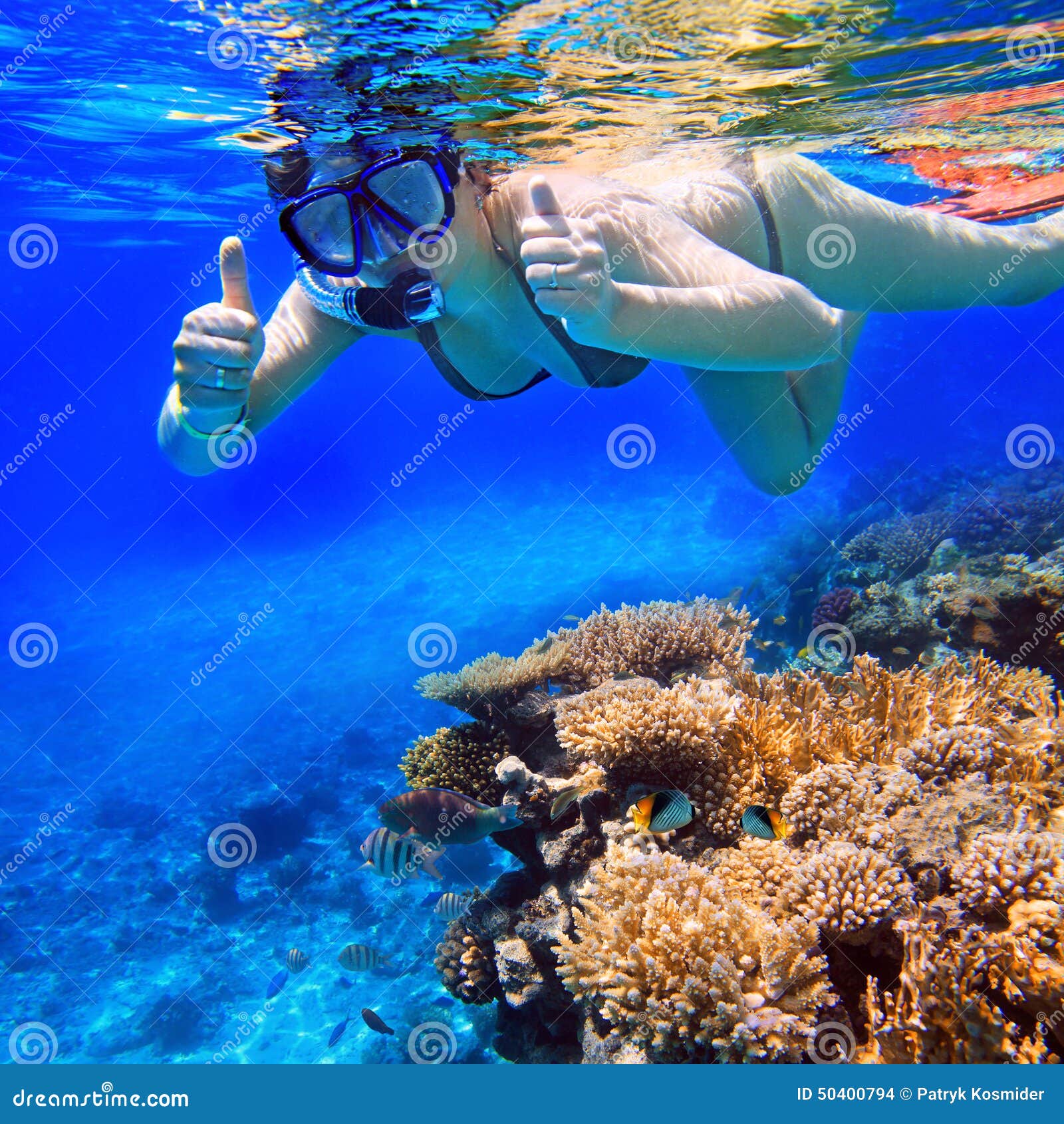Het Snorkelen in Het Tropische Water Stock Foto - Image of eiland ...