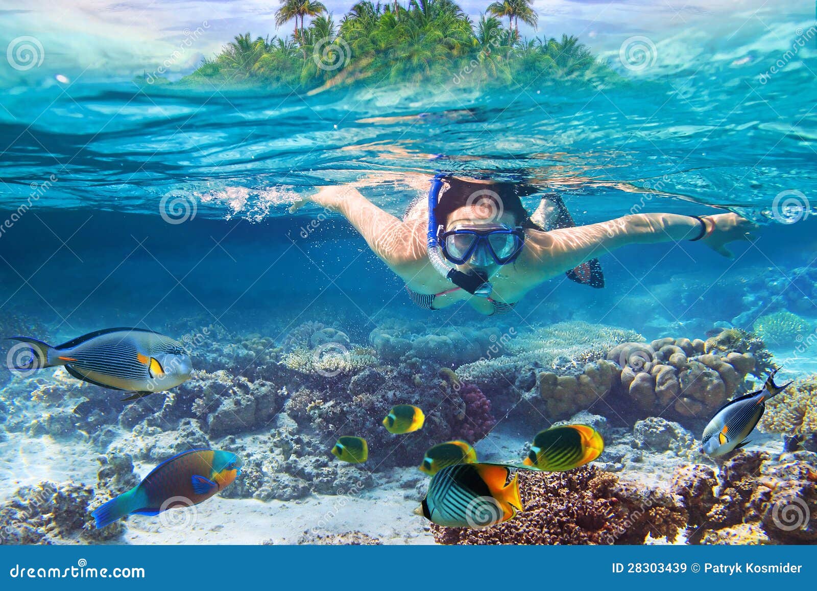 Het Snorkelen in Het Tropische Water Van De Maldiven Stock Afbeelding ...