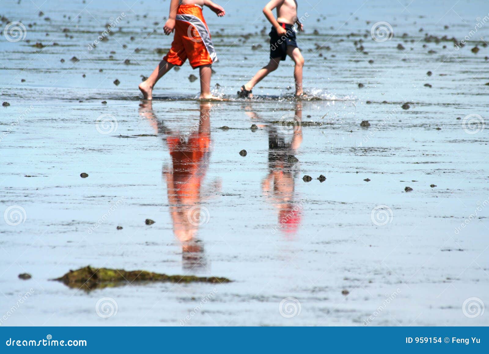 Het spelen op het strand stock foto. Image of mens, vancouver - 959154