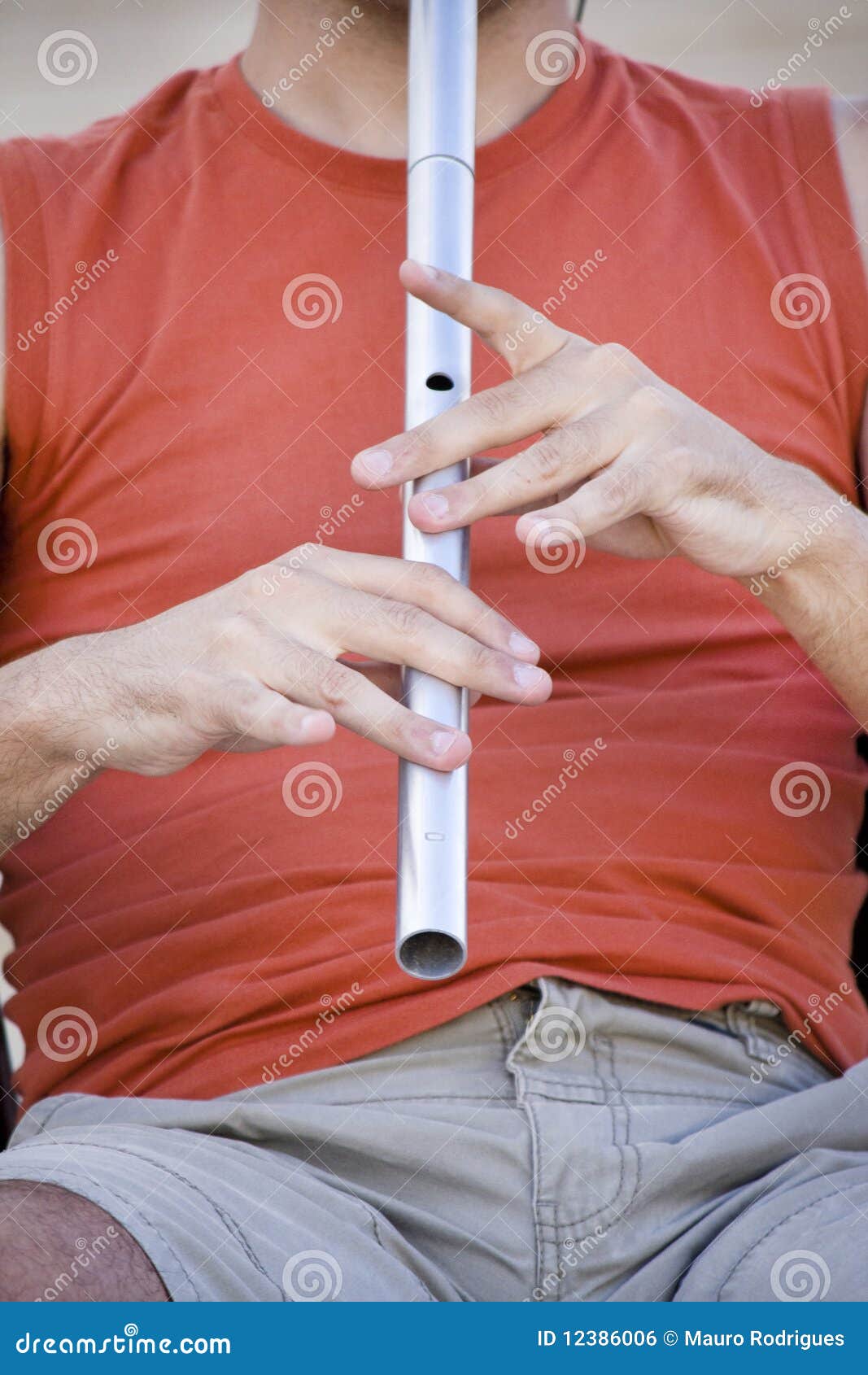 Het spelen van de fluit stock foto. Image of prestaties - 12386006