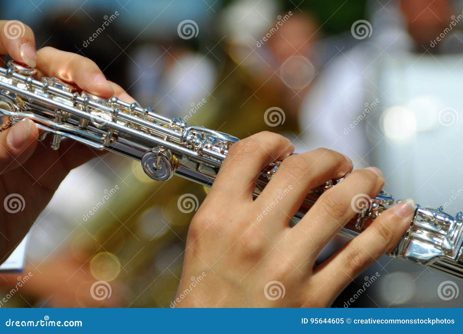 Vrouw Die Flut Speelt Picture. Image: 95644605