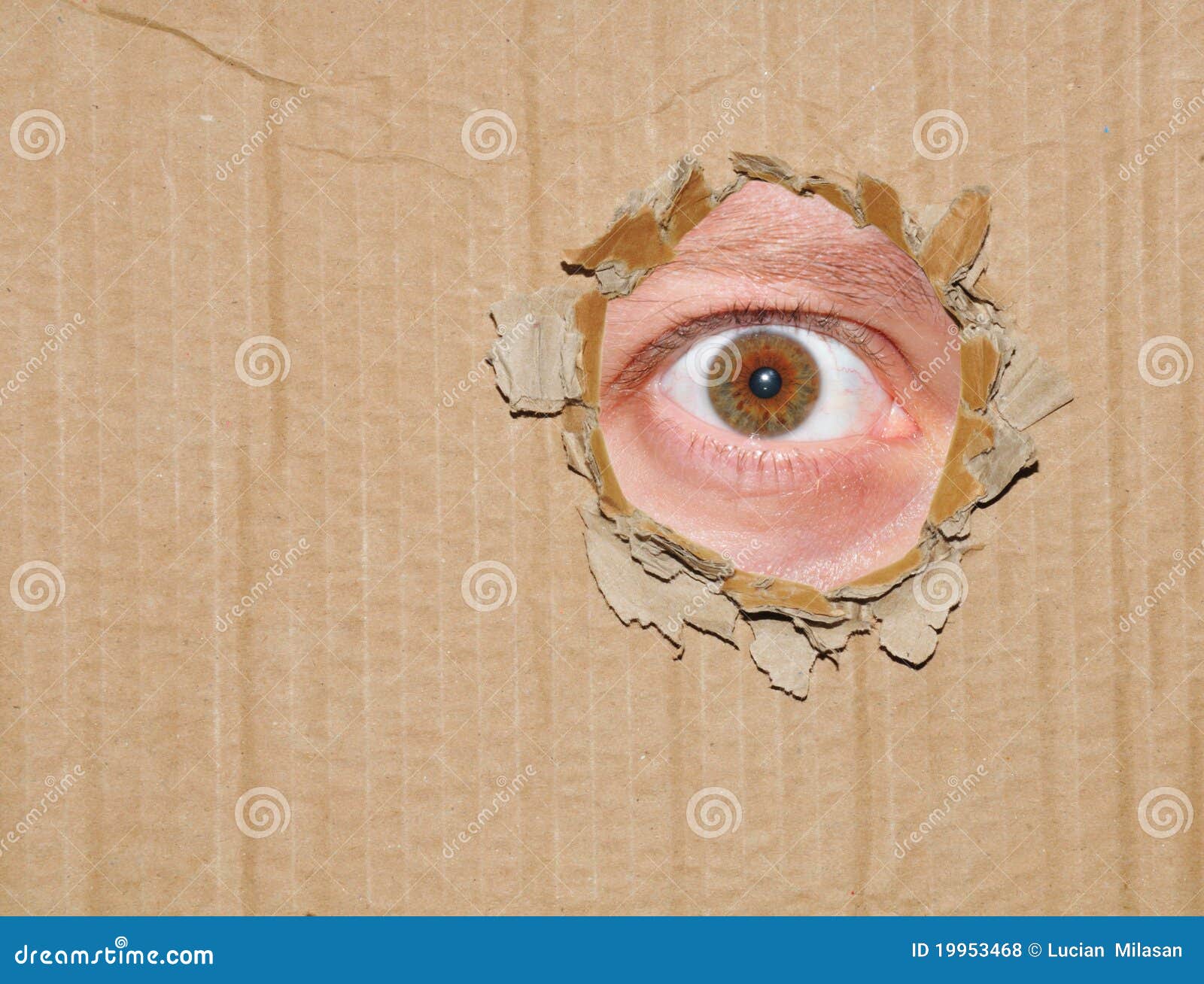 Het spioneren van het oog stock foto. Image of mens, uitziend - 19953468