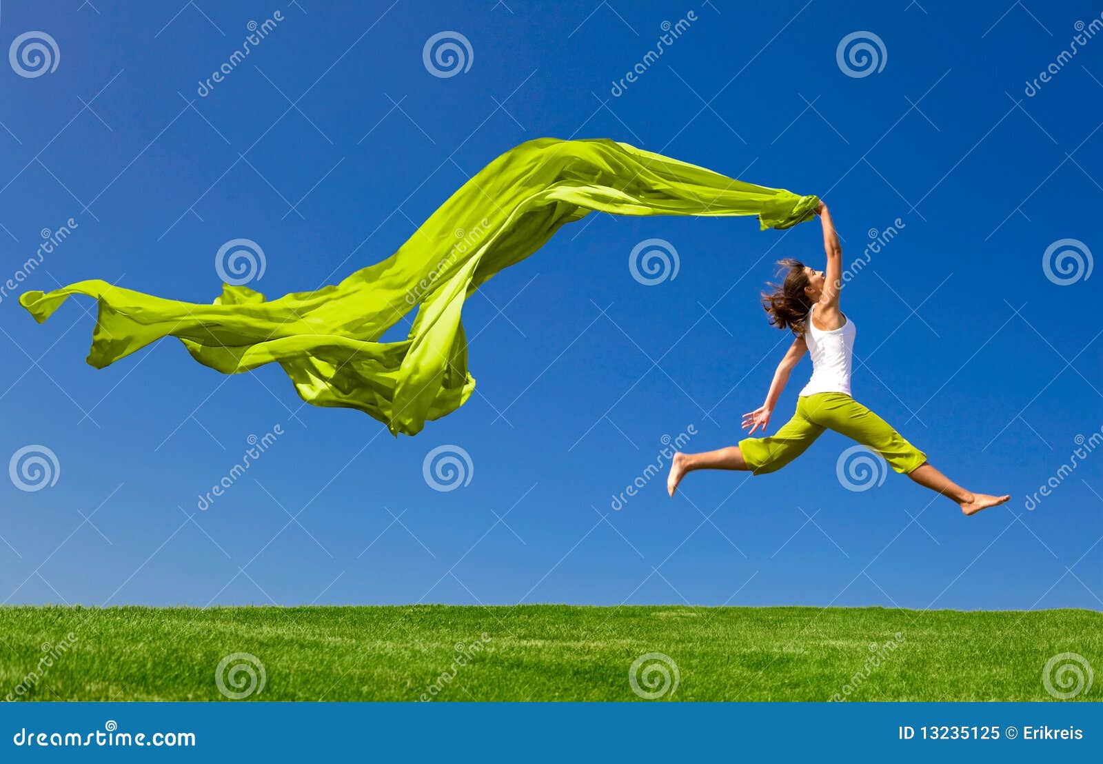 Het springen stock afbeelding. Image of pret, sprong - 13235125