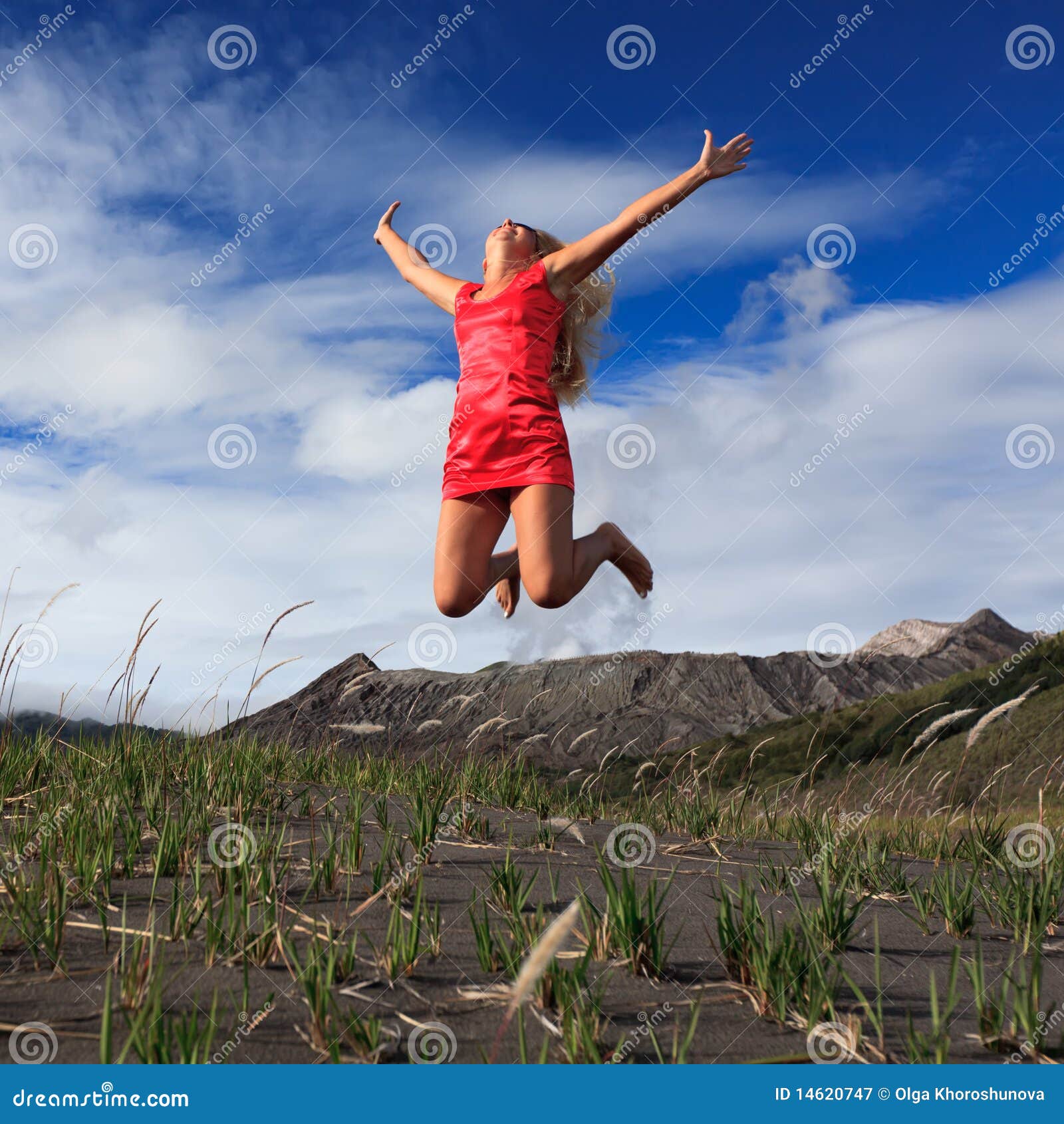 Het springen stock afbeelding. Image of landschap, sprong - 14620747