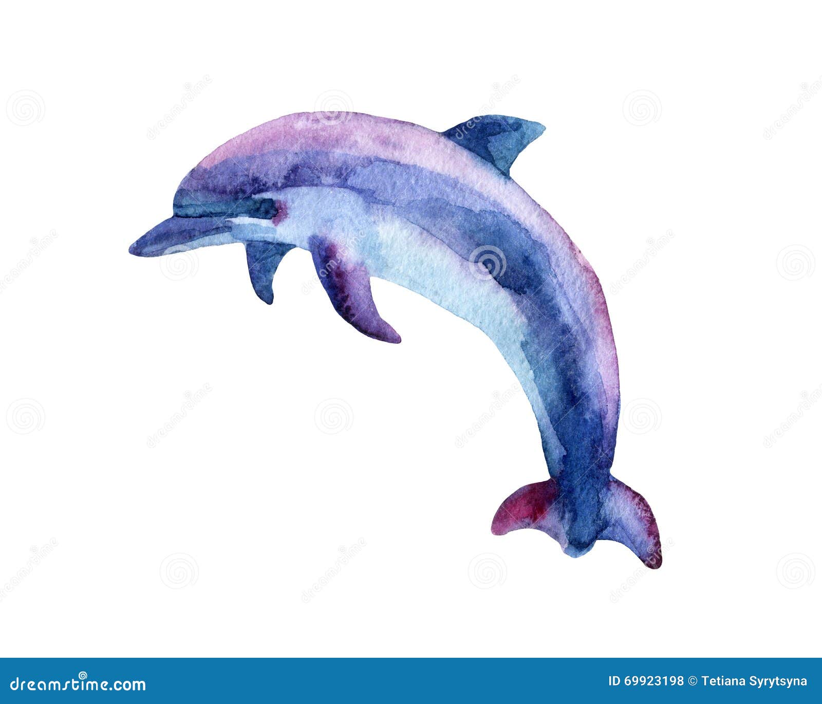 Het Springen Blauwe Dolfijn Stock Illustratie - Illustration of ...