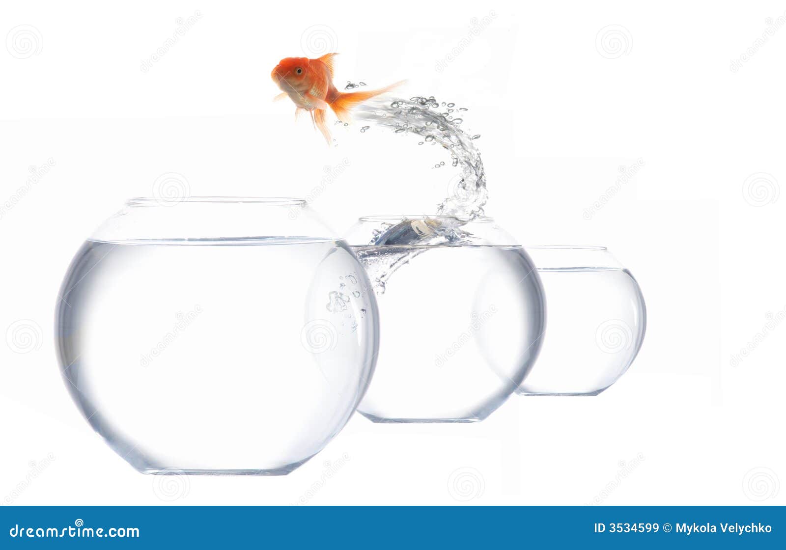 Het springen gouden vissen stock afbeelding. Image of geïsoleerd - 3534599