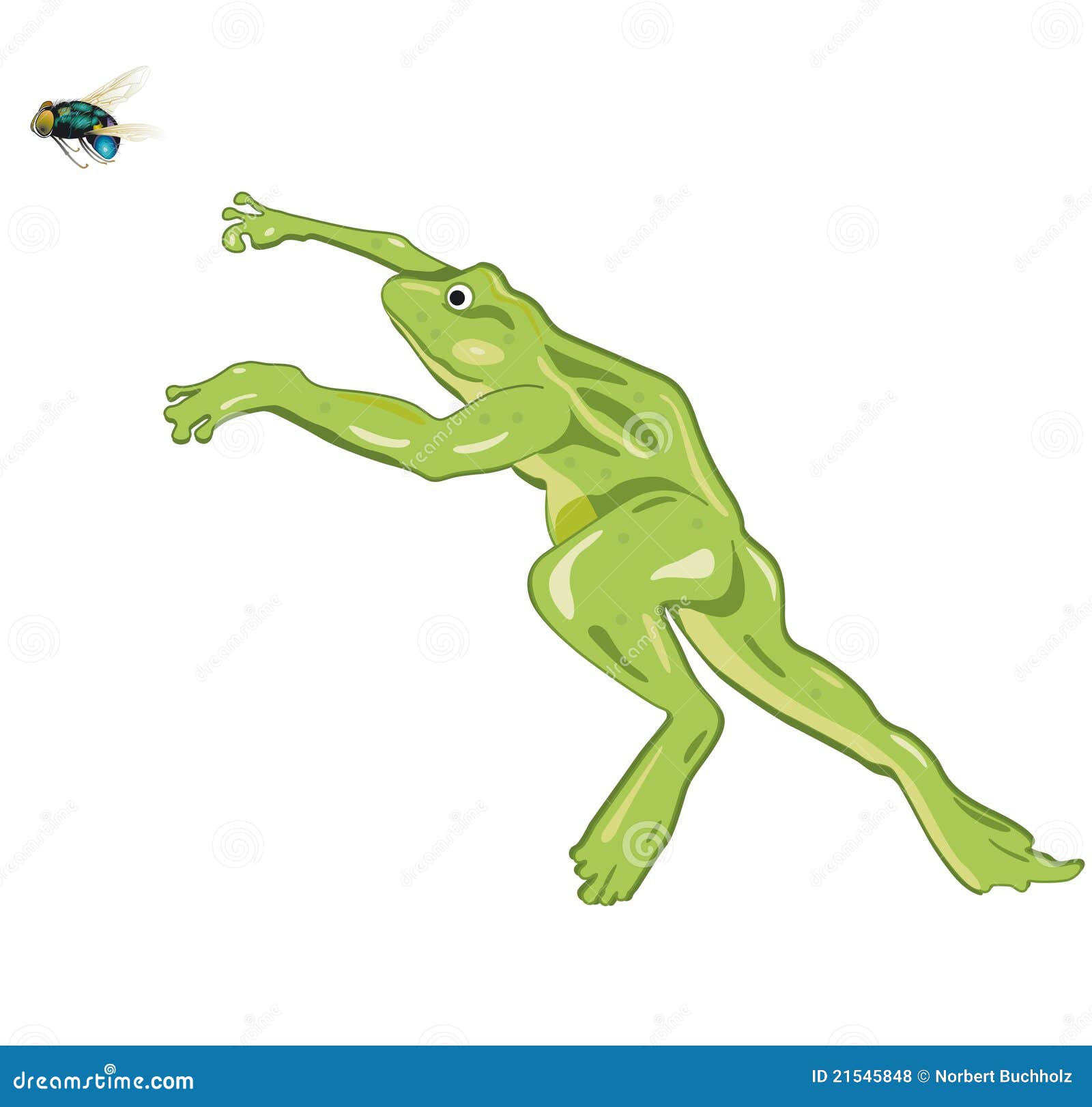 Het springen kikker vector illustratie. Illustration of beweging - 21545848