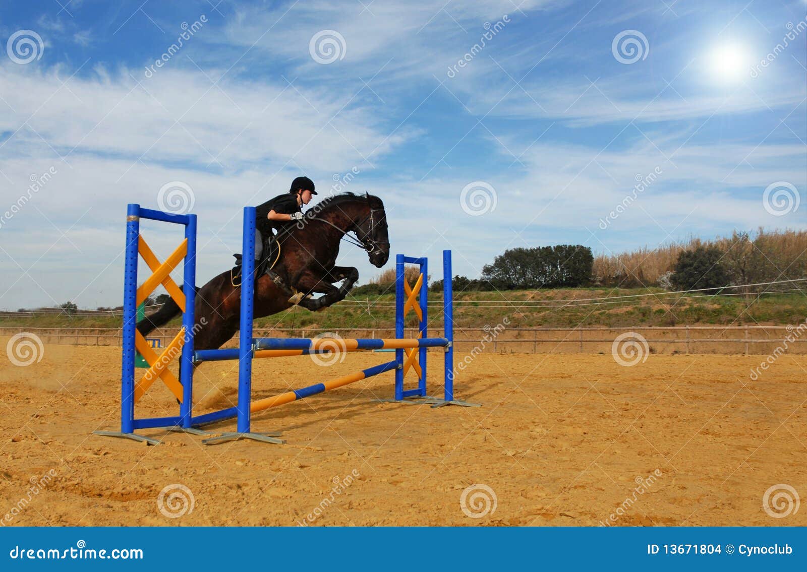 Het springen paard stock foto. Image of hemel, jong, buiten - 13671804