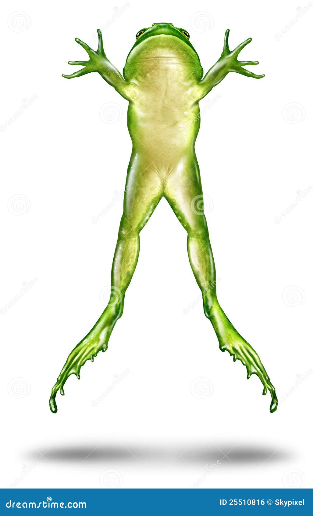 Het Springen van de kikker stock illustratie. Illustration of slijmerig ...