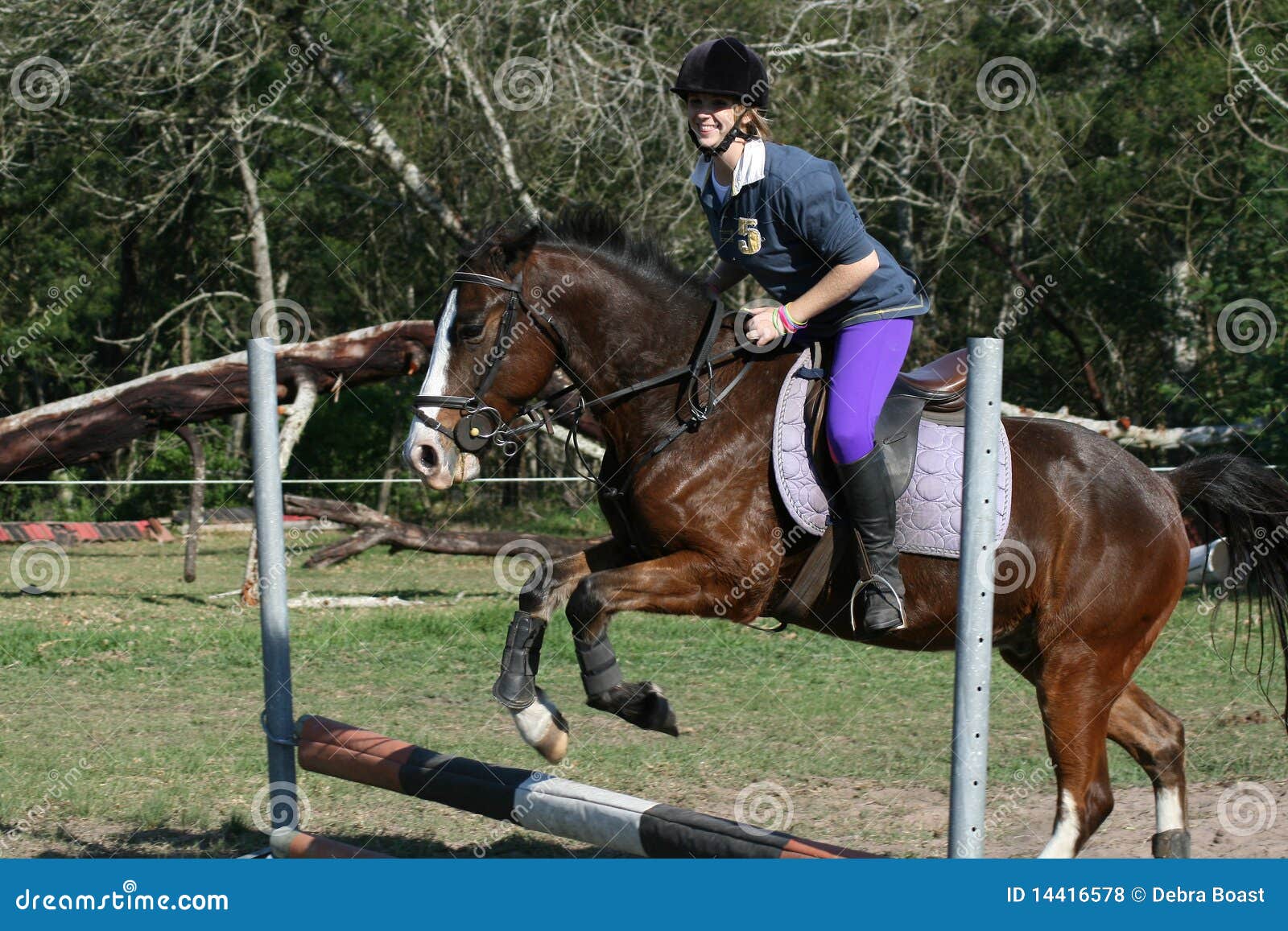 Het springen van het paard stock foto. Image of beetje - 14416578