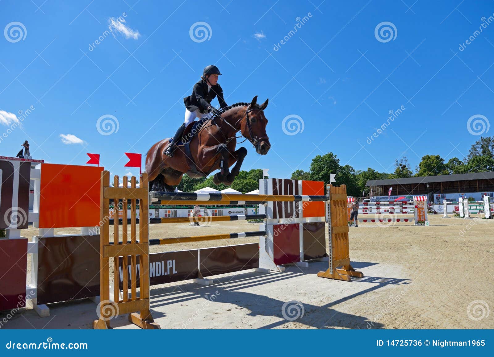 Het springen van het paard redactionele foto. Image of concurrentie ...