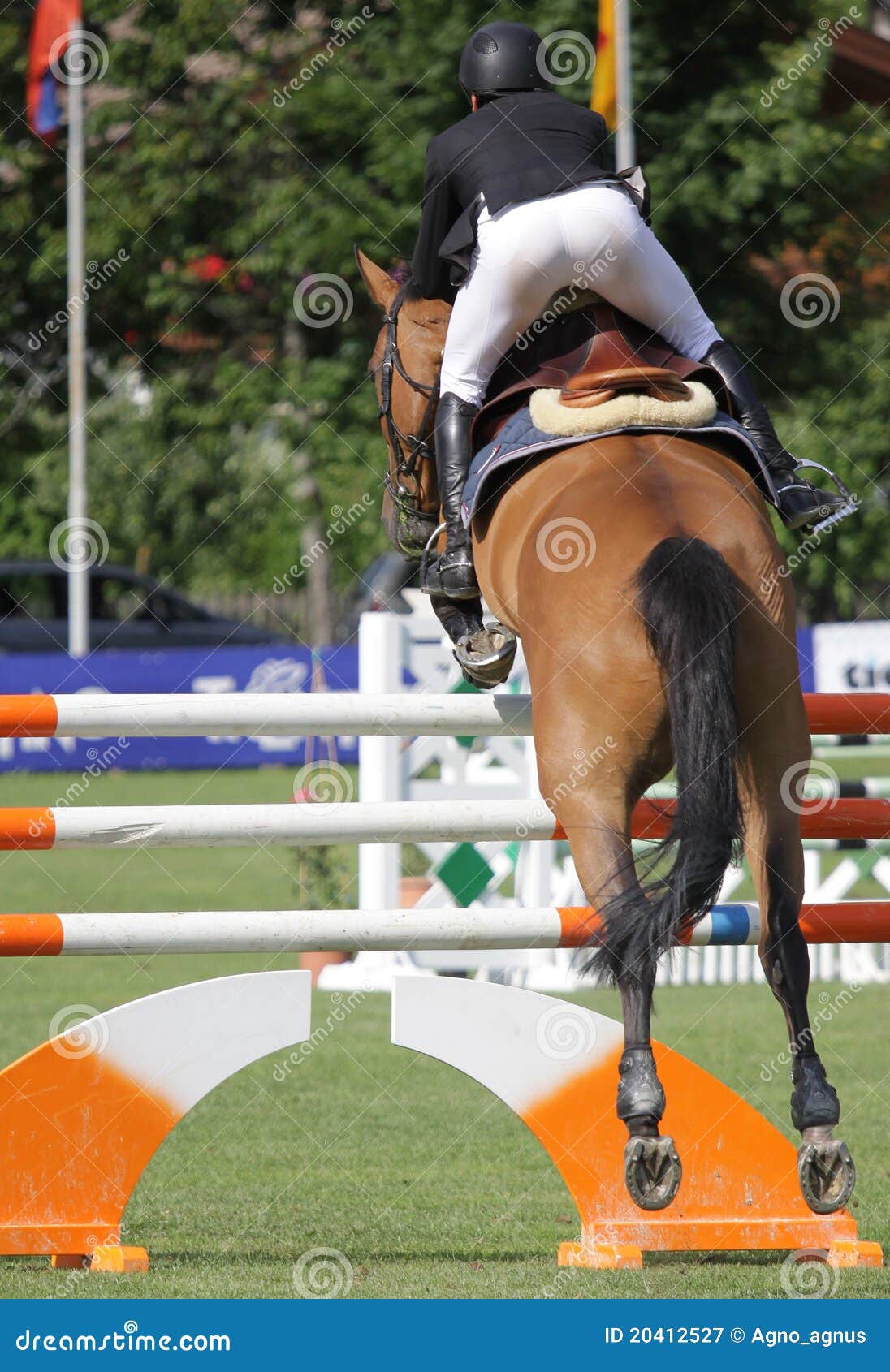 Het springen van het paard stock afbeelding. Image of paarden - 20412527