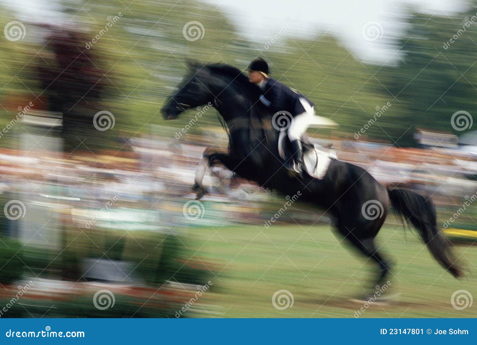 Het springen van het paard redactionele foto. Image of apparatuur ...