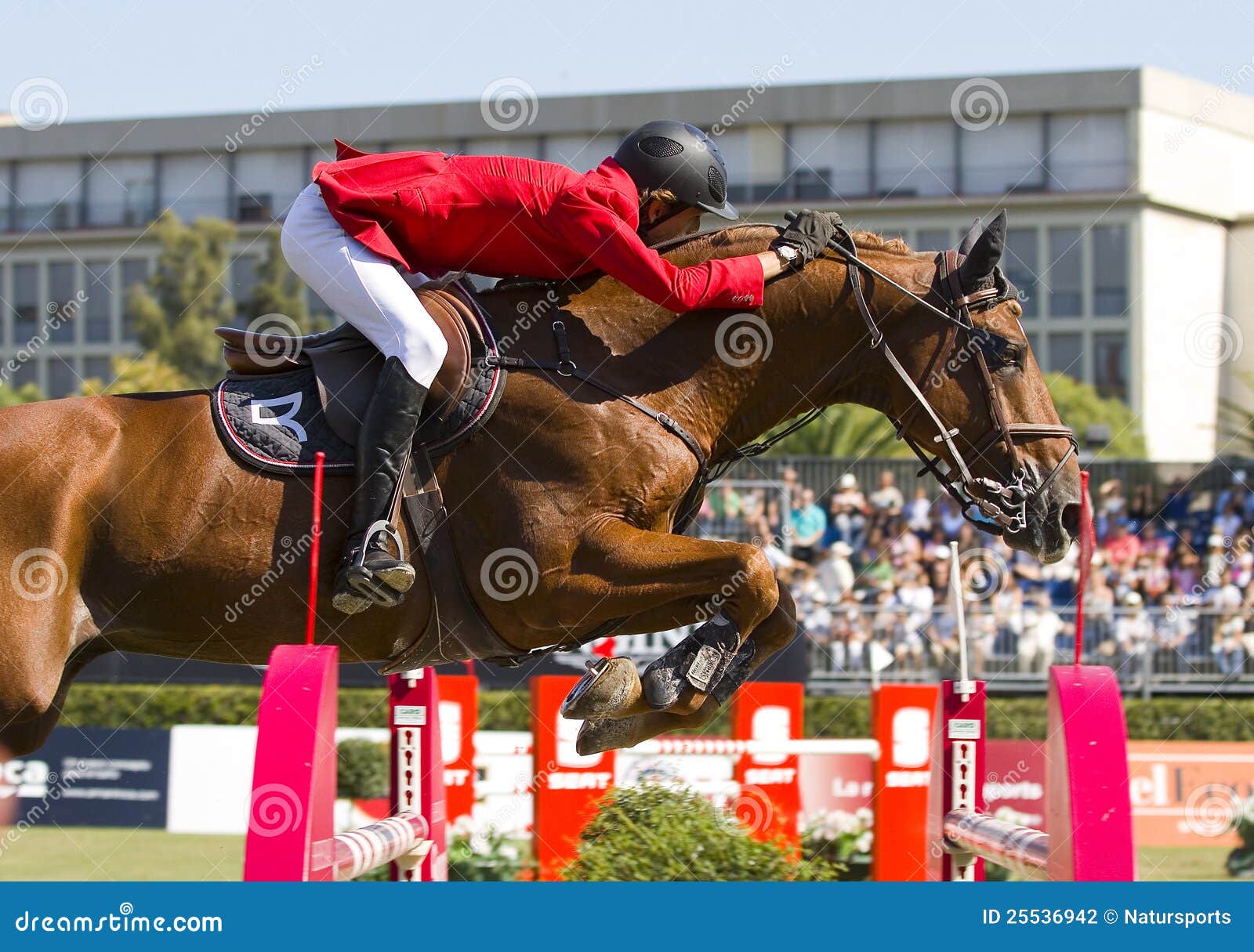 Het springen van het paard redactionele fotografie. Image of aanwezig ...