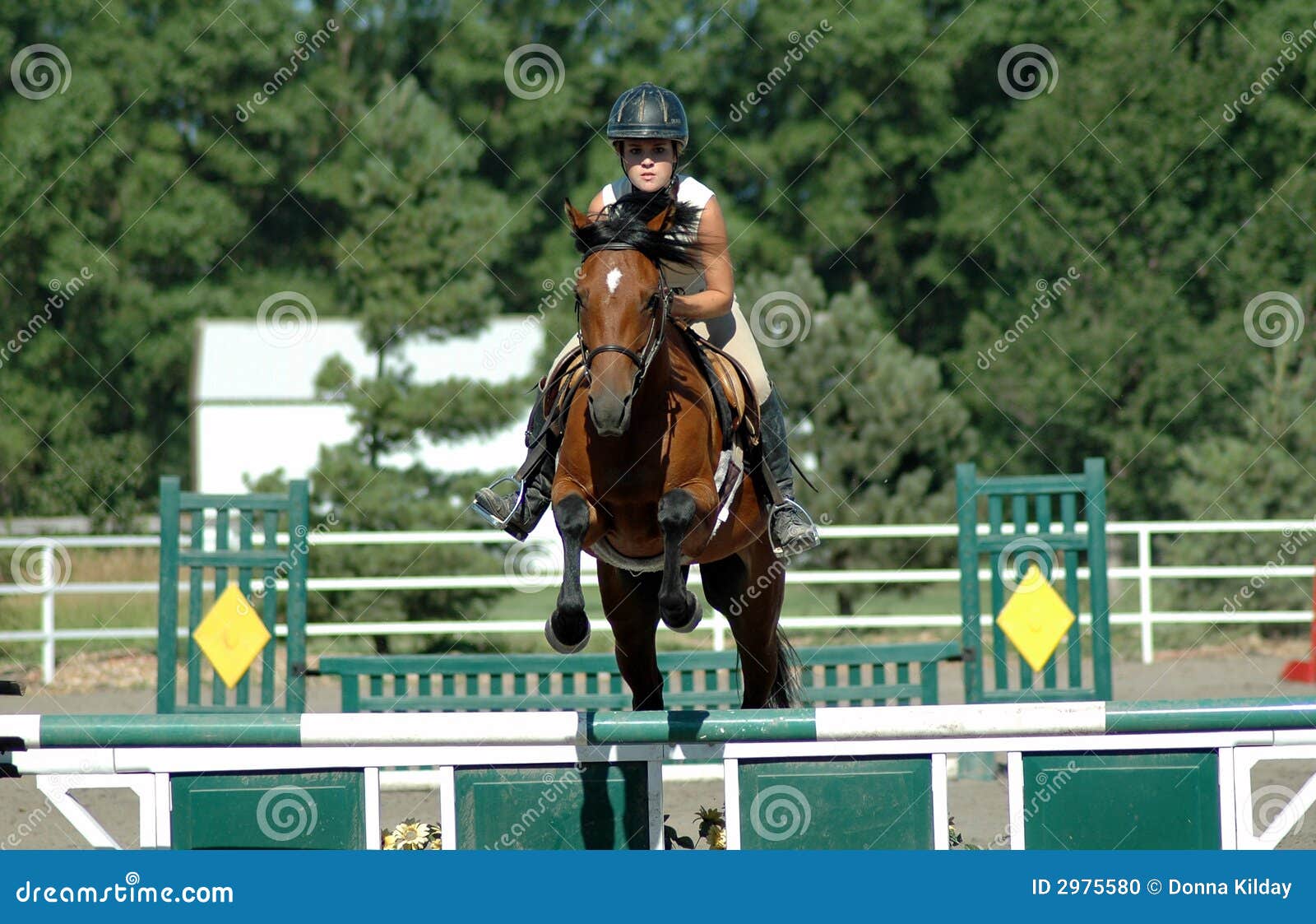 Het Springen van het paard stock foto. Image of concurrentie - 2975580