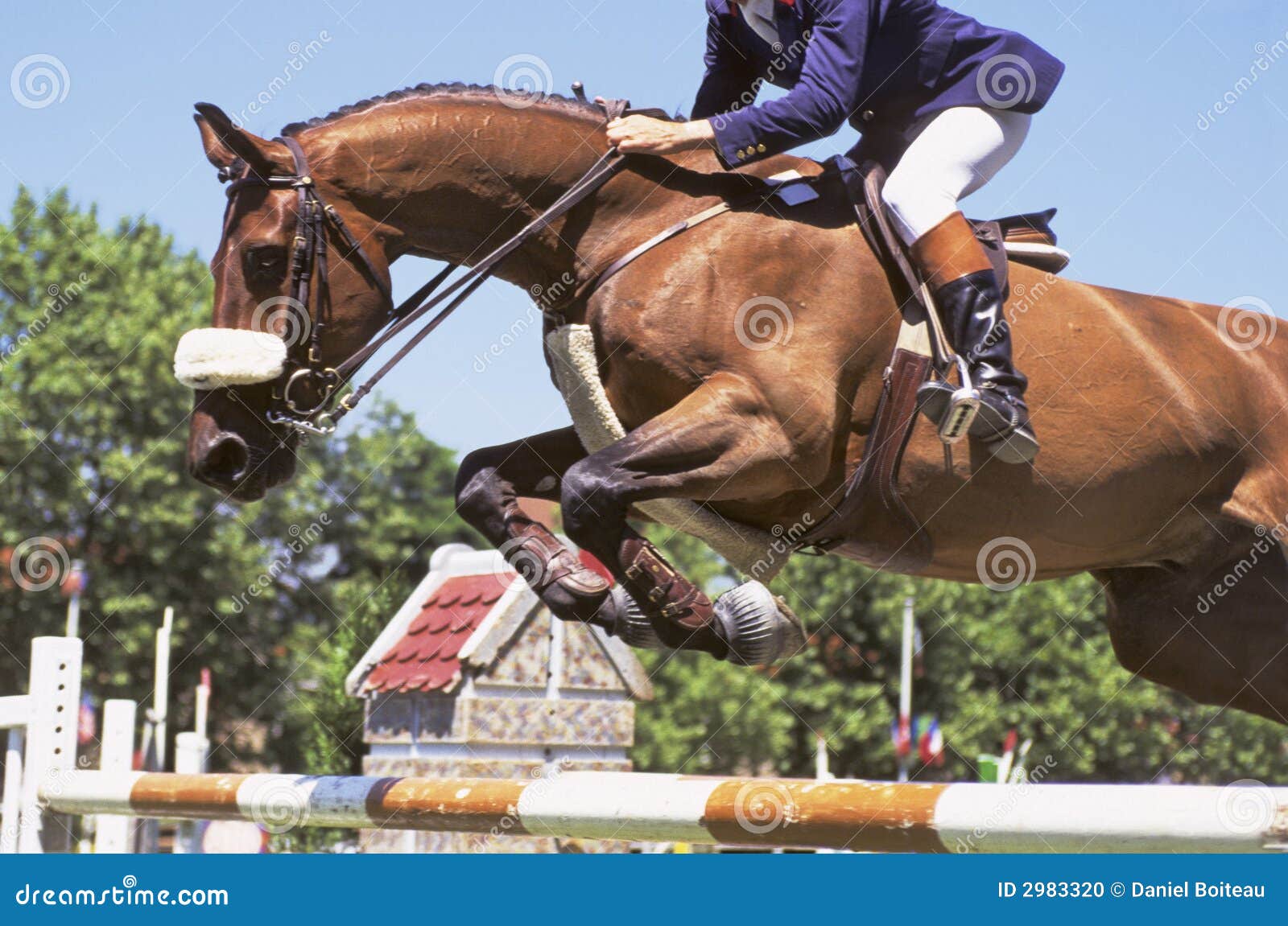 Het springen van het paard stock foto. Image of kluis - 2983320