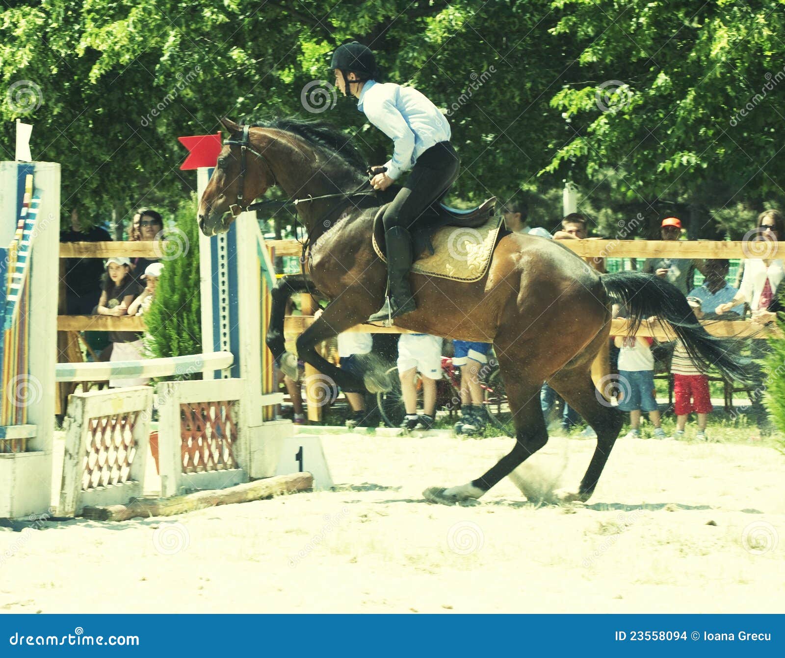 Het Springen Van Het Paard Hindernissen Redactionele Stock Afbeelding ...