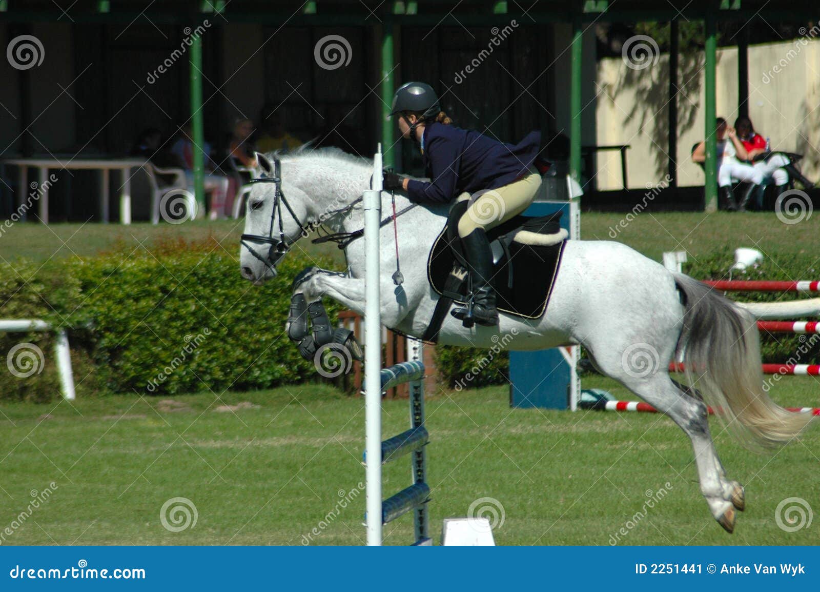 Het Springen Van Het Paard Sport Stock Afbeelding - Image of mooi ...