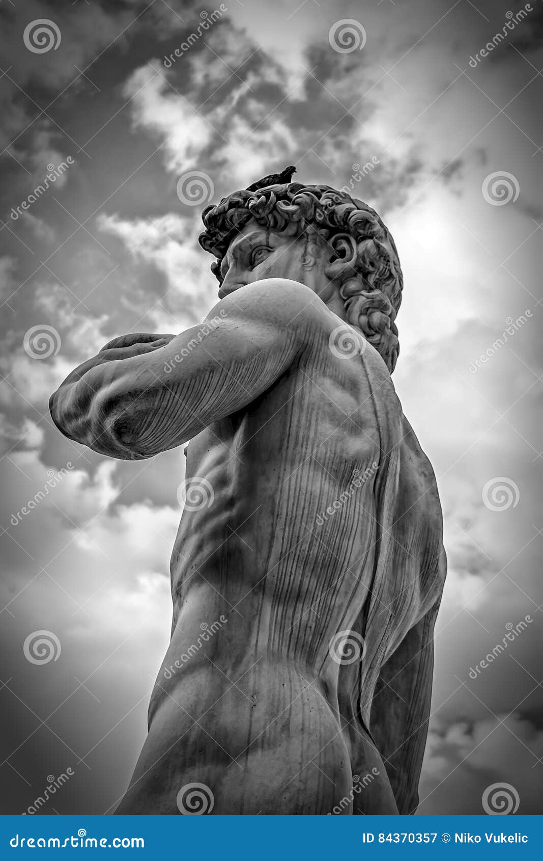 Het Standbeeld Van David in BW Stock Afbeelding - Image of uitdrukking ...