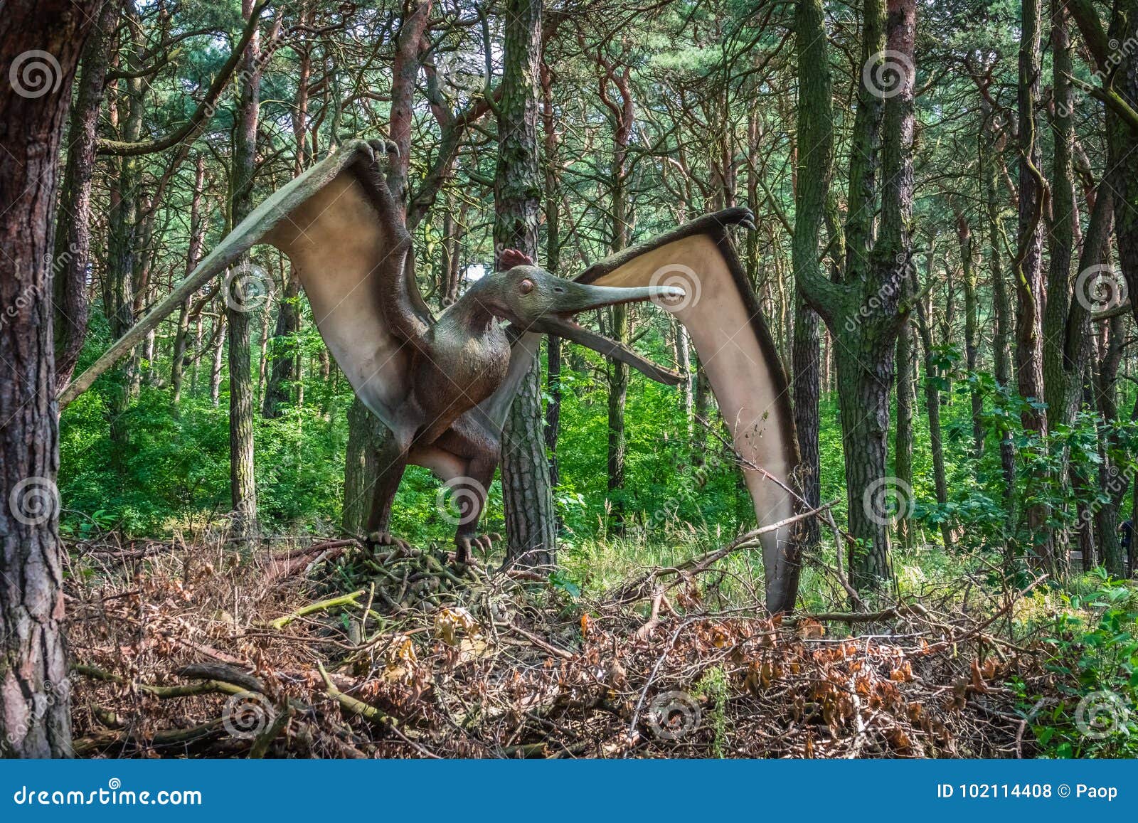 Het Standbeeld Van De Pterodactylusdinosaurus Stock Foto - Image of ...