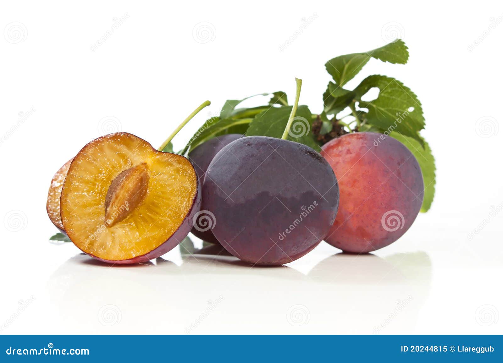 Het Stilleven van de pruim stock afbeelding. Image of damastpruim ...