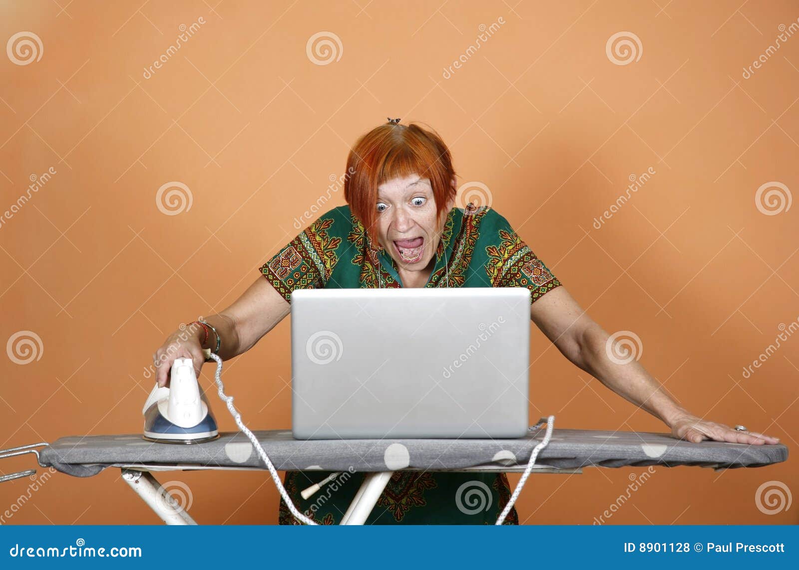 Het surfen van Internet stock foto. Image of dame, huishouden - 8901128