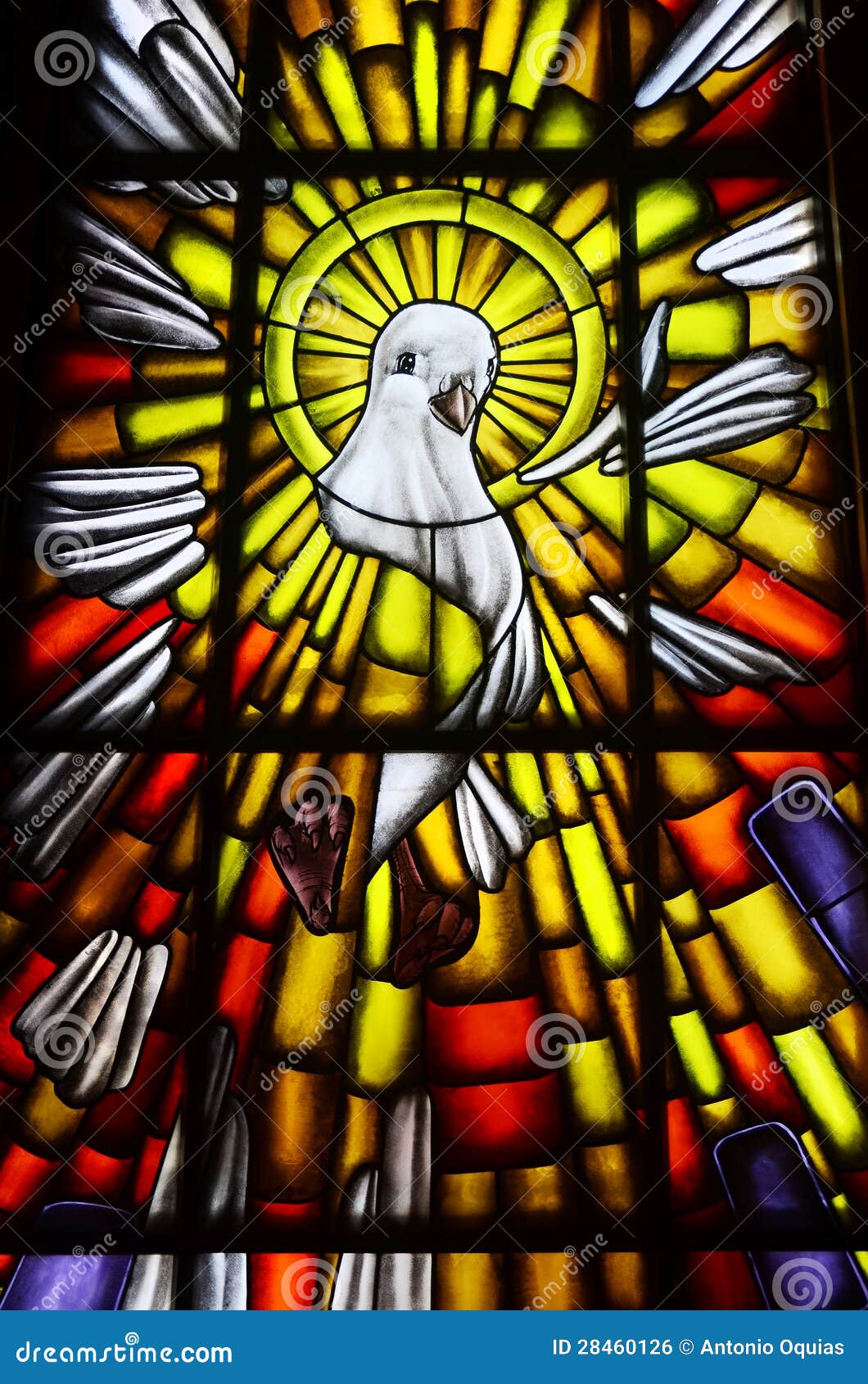 Het Symbool Van De Duif Van De Heilige Geest Stock Foto - Image of ...