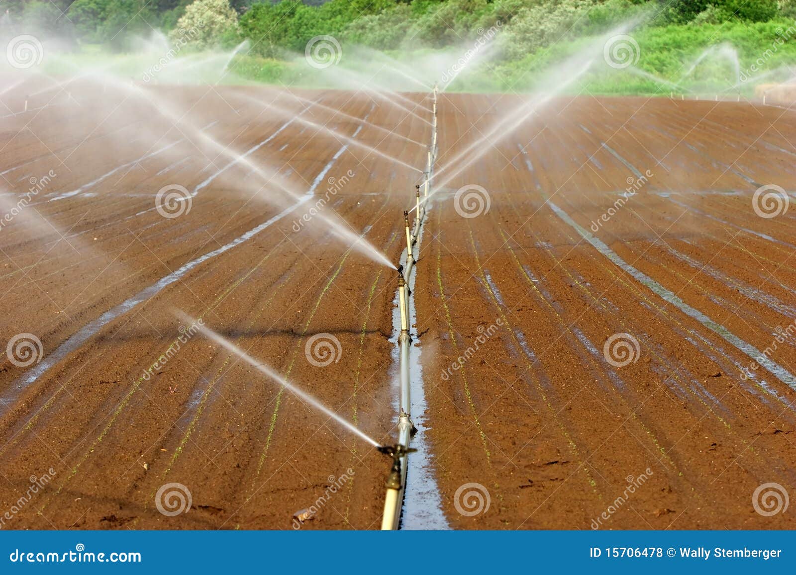 Het Systeem Van De Irrigatie Stock Foto - Image of gezondheid ...