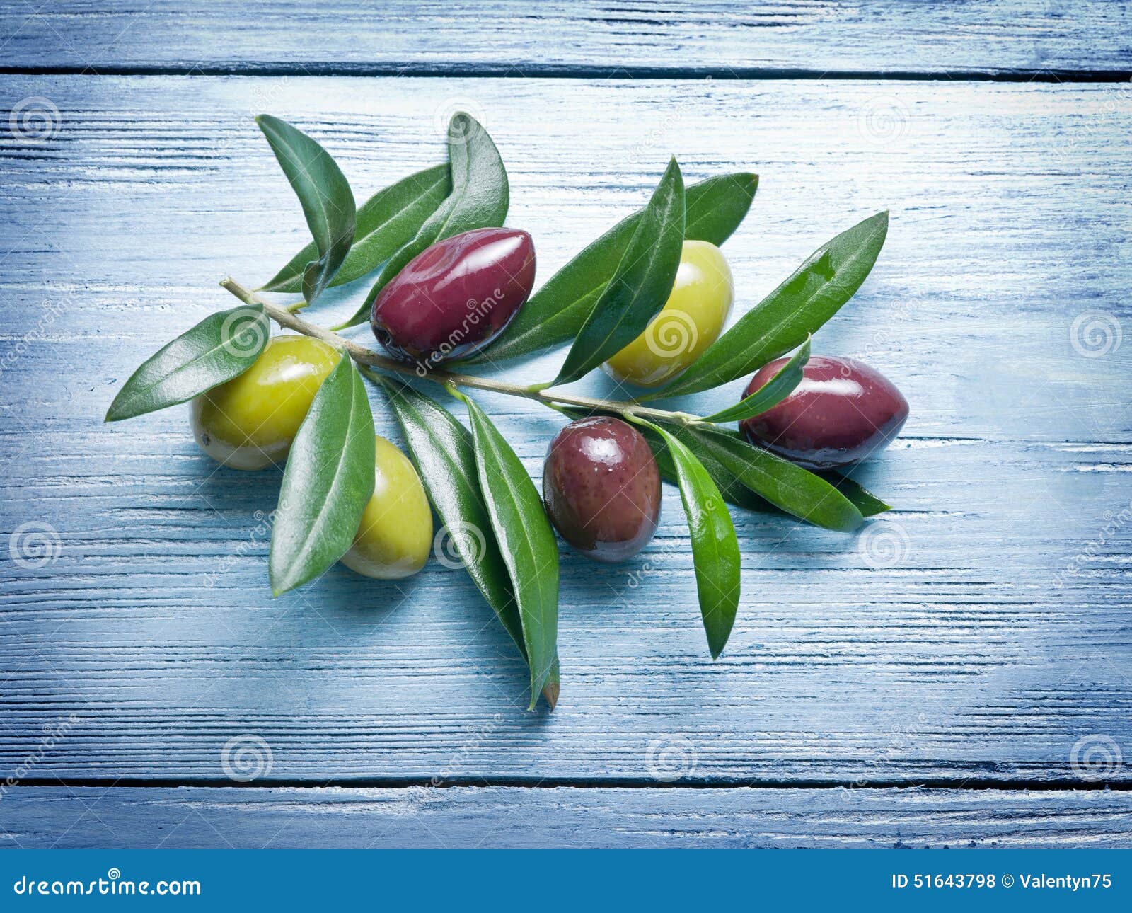 Het takje van de olijf stock foto. Image of ingrediënt - 51643798