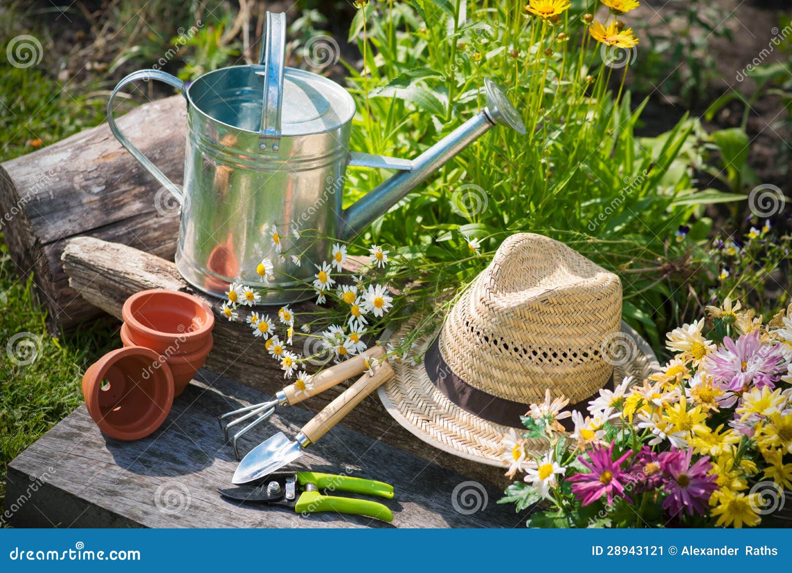 Het tuinieren stock afbeelding. Image of groei, huishouden - 28943121