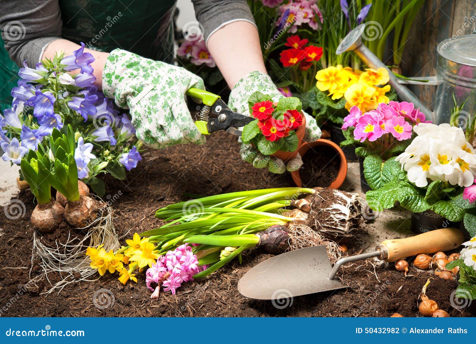 Het tuinieren stock foto. Image of tuin, bloesem, milieu - 50432982