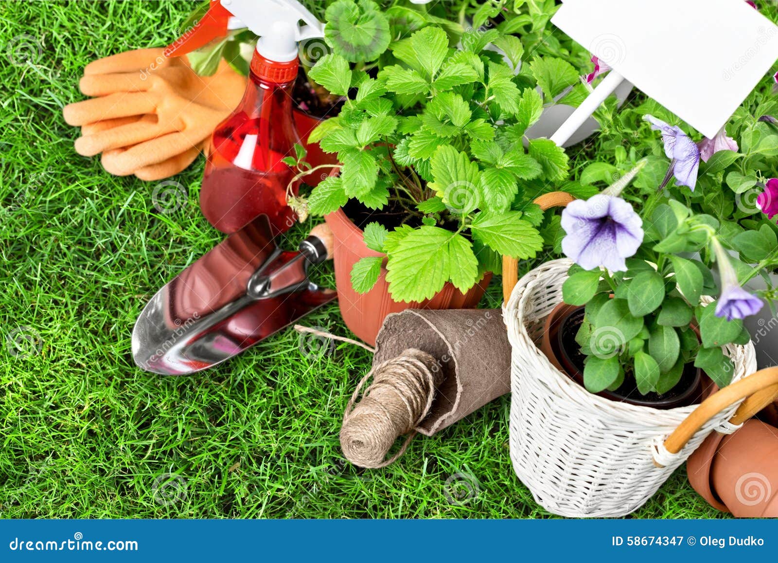 Het tuinieren stock afbeelding. Image of botanisch, huiswerk - 58674347