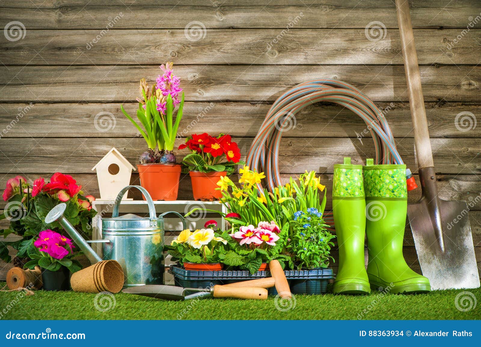 Het tuinieren stock foto. Image of grond, hobby, handschoenen - 88363934