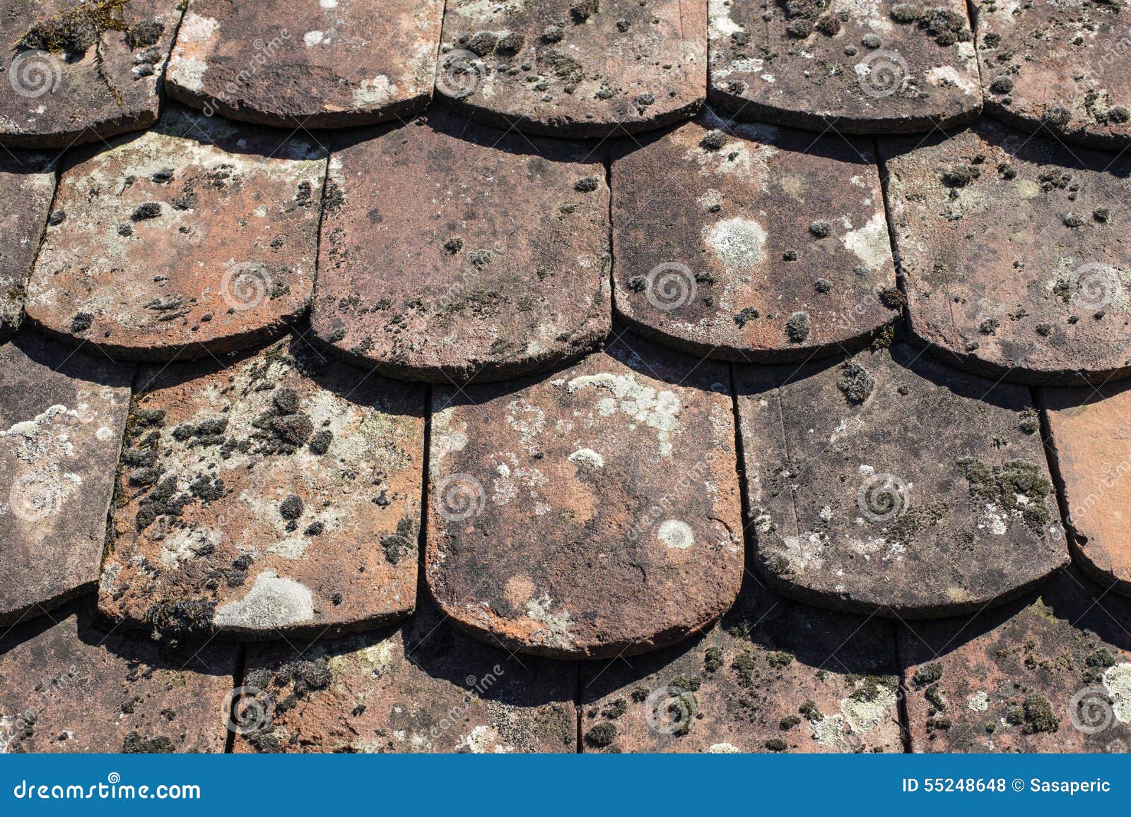 Het Uitstekende Dak Betegelen Stock Foto - Image of dekking, europa ...