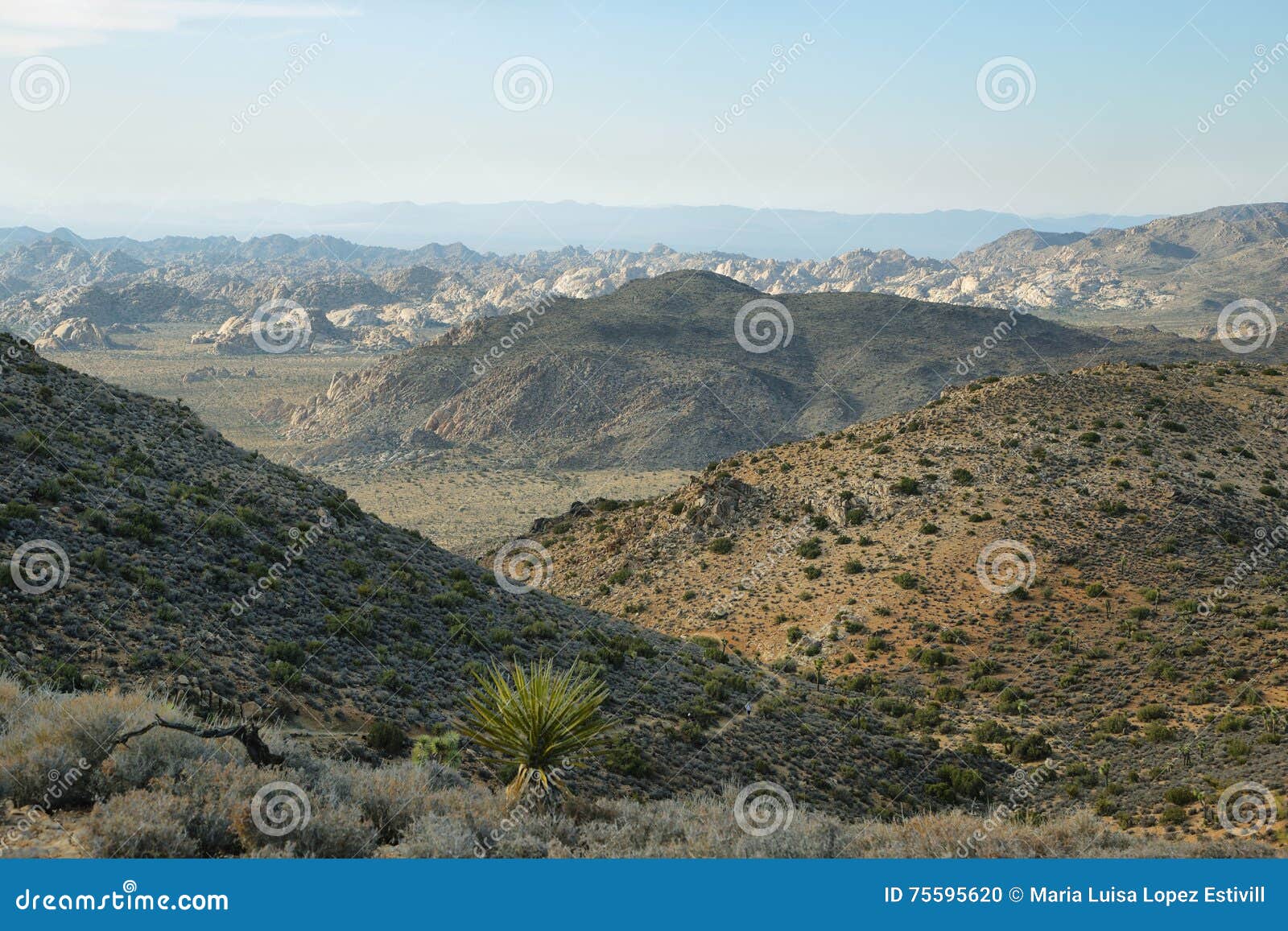 Het Uitzicht Van De Mojavewoestijn Van Ryan Mountain Stock Foto - Image ...