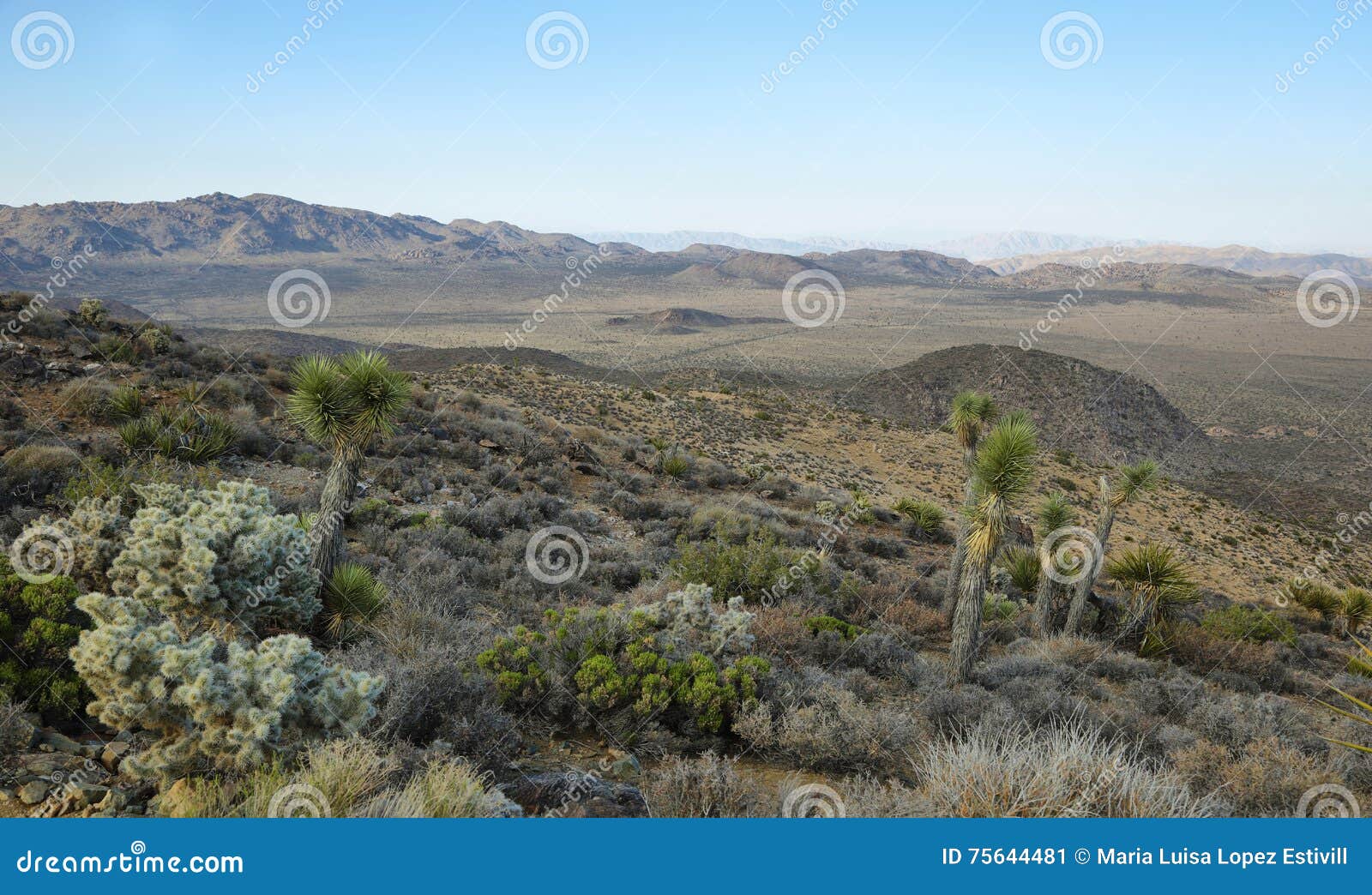 Het Uitzicht Van De Mojavewoestijn Van Ryan Mountain Stock Afbeelding ...