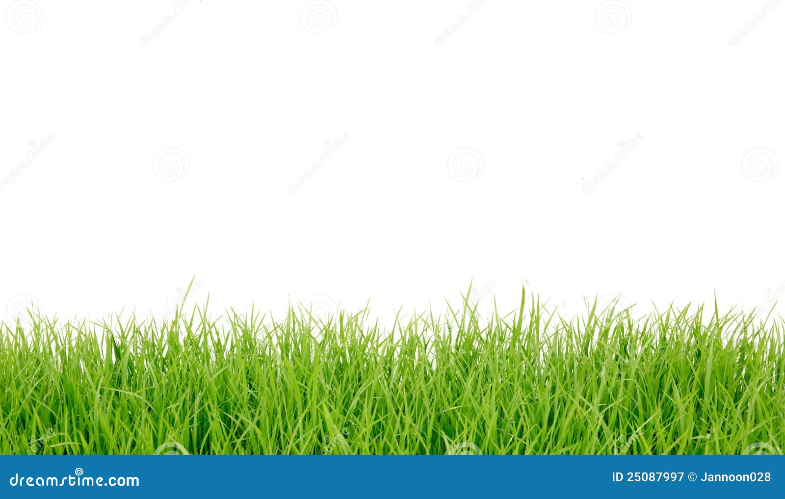 Het Verse Panorama Van Het De Lente Groene Gras. Stock Afbeelding ...