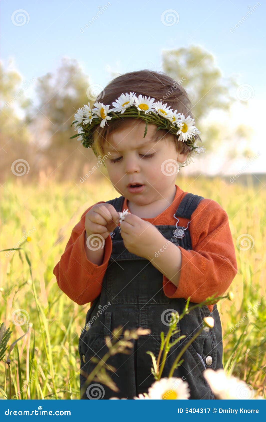Het Vertellen Van Het Fortuin Met Madeliefje Stock Afbeelding - Image ...