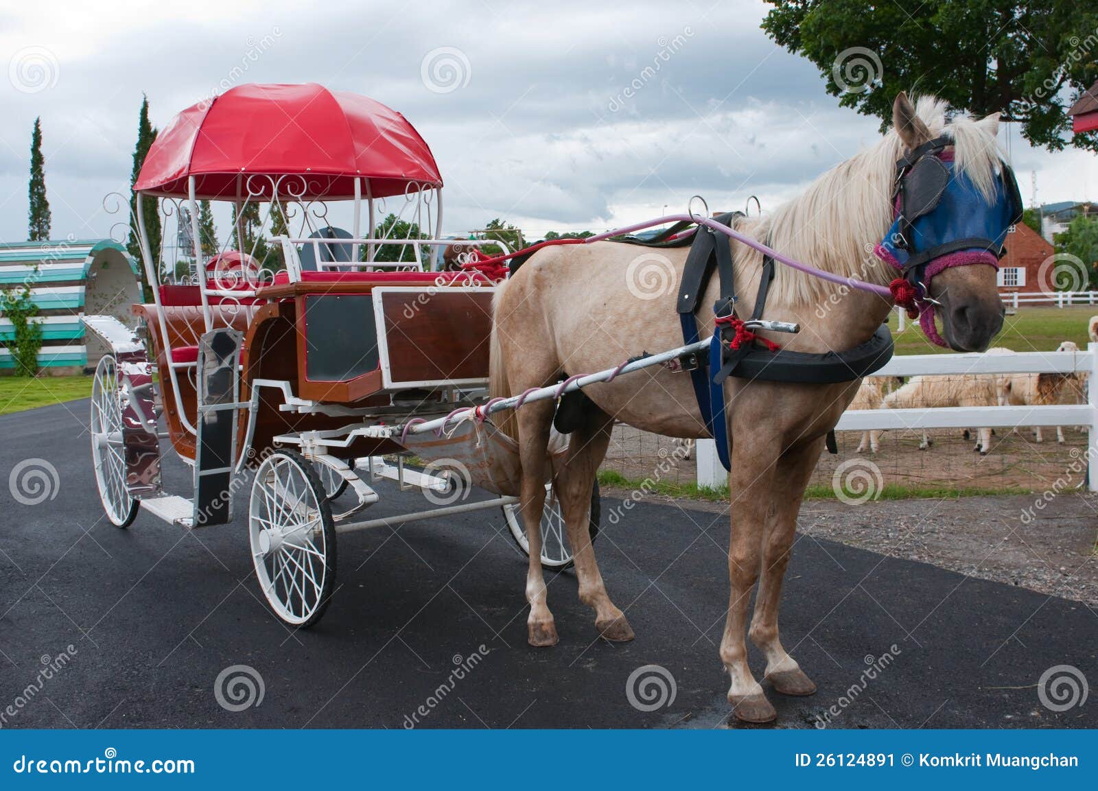 Het vervoer van het paard stock afbeelding. Image of dier - 26124891