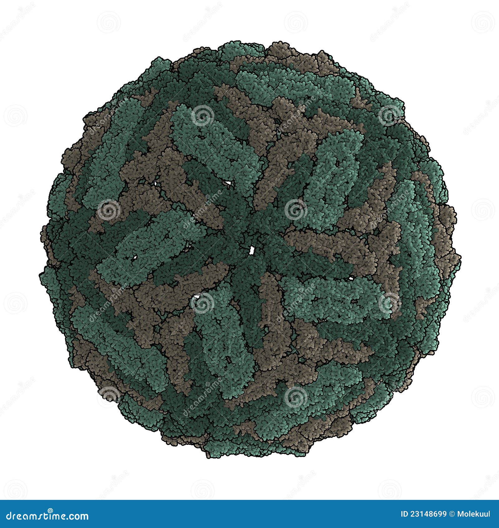 Het Virus Van De Knokkelkoorts (DENV) Stock Illustratie - Illustration ...
