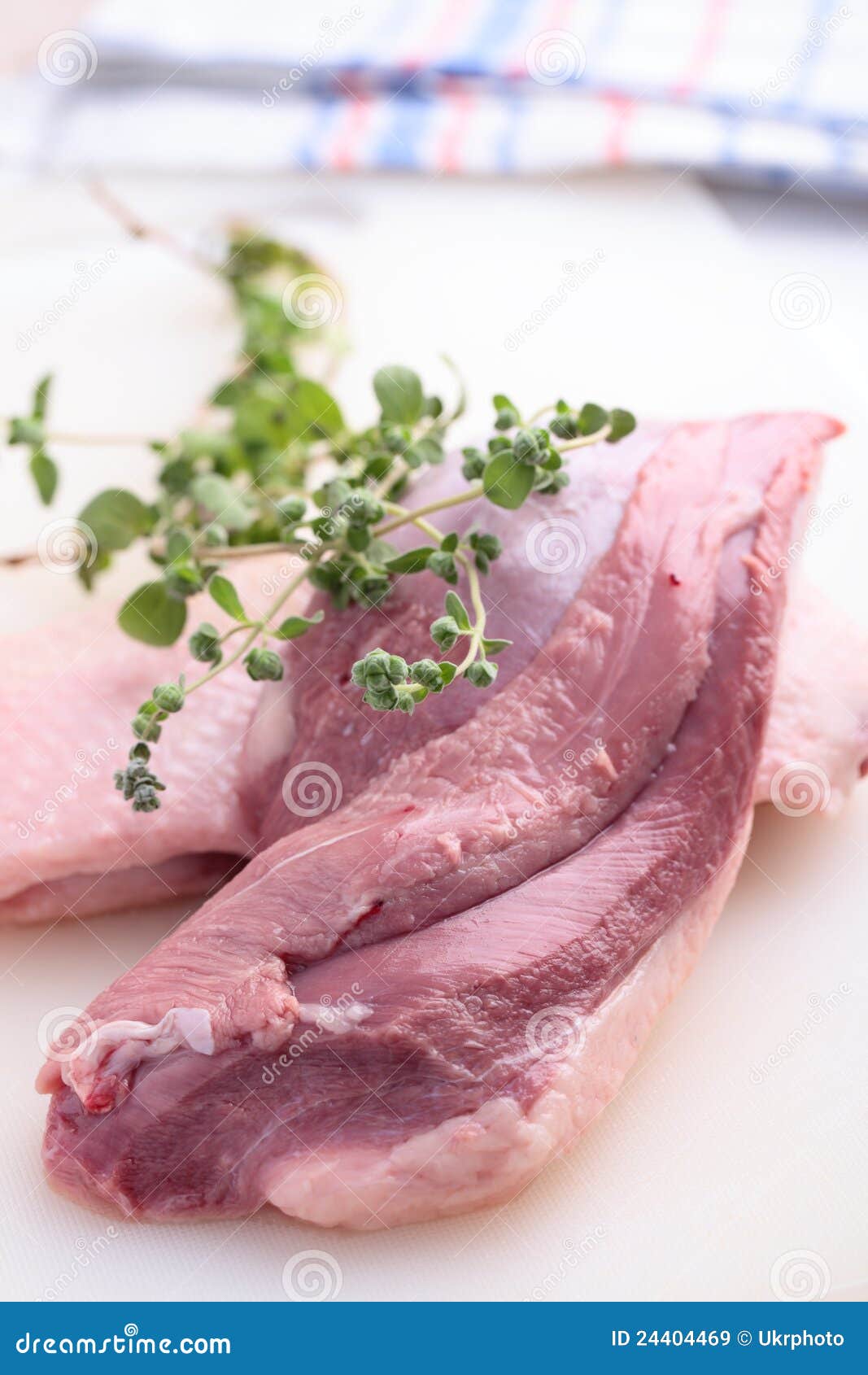 Het vlees van de gans stock afbeelding. Image of filet - 24404469