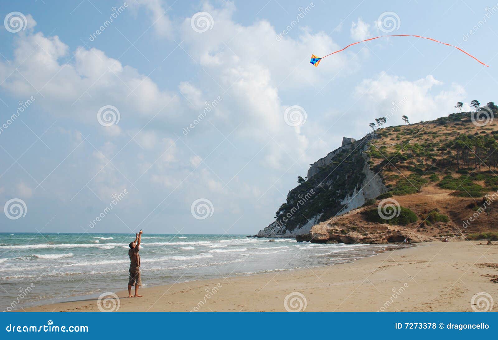 Het Vliegen Van Een Vlieger Op Een Strand Stock Foto - Image of europa ...
