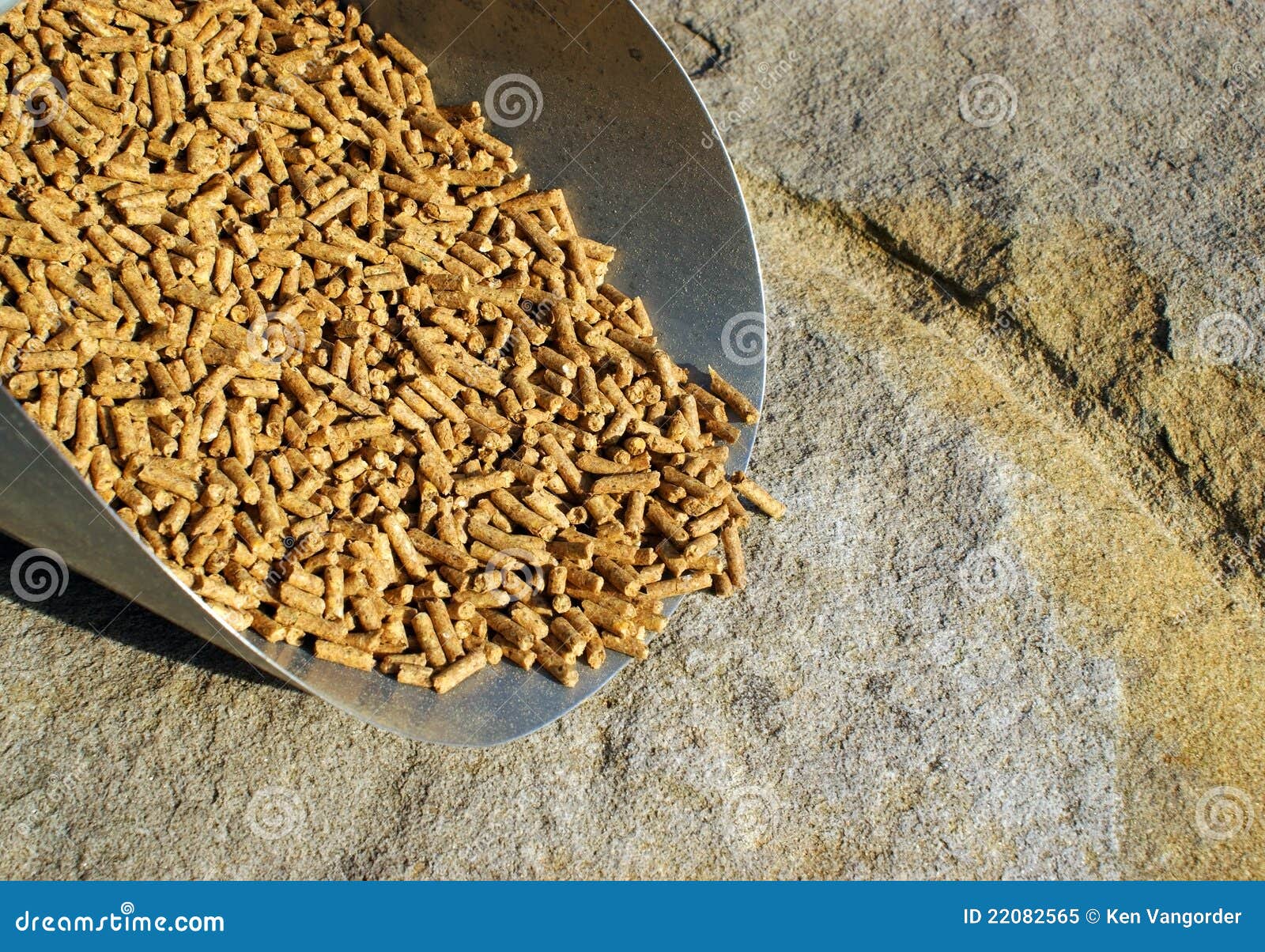 Het Voer Van Herten En Van Elanden Stock Afbeelding - Image of voer ...