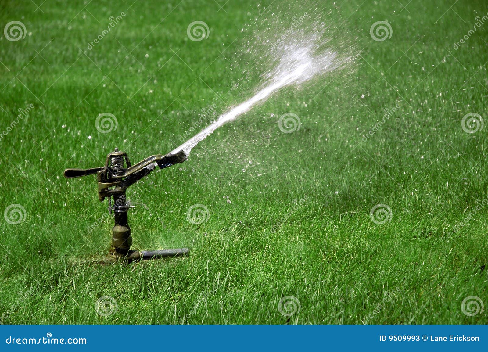 Het Water Geven Van De Sproeier Gebied Van Groen Gras Stock Afbeelding ...