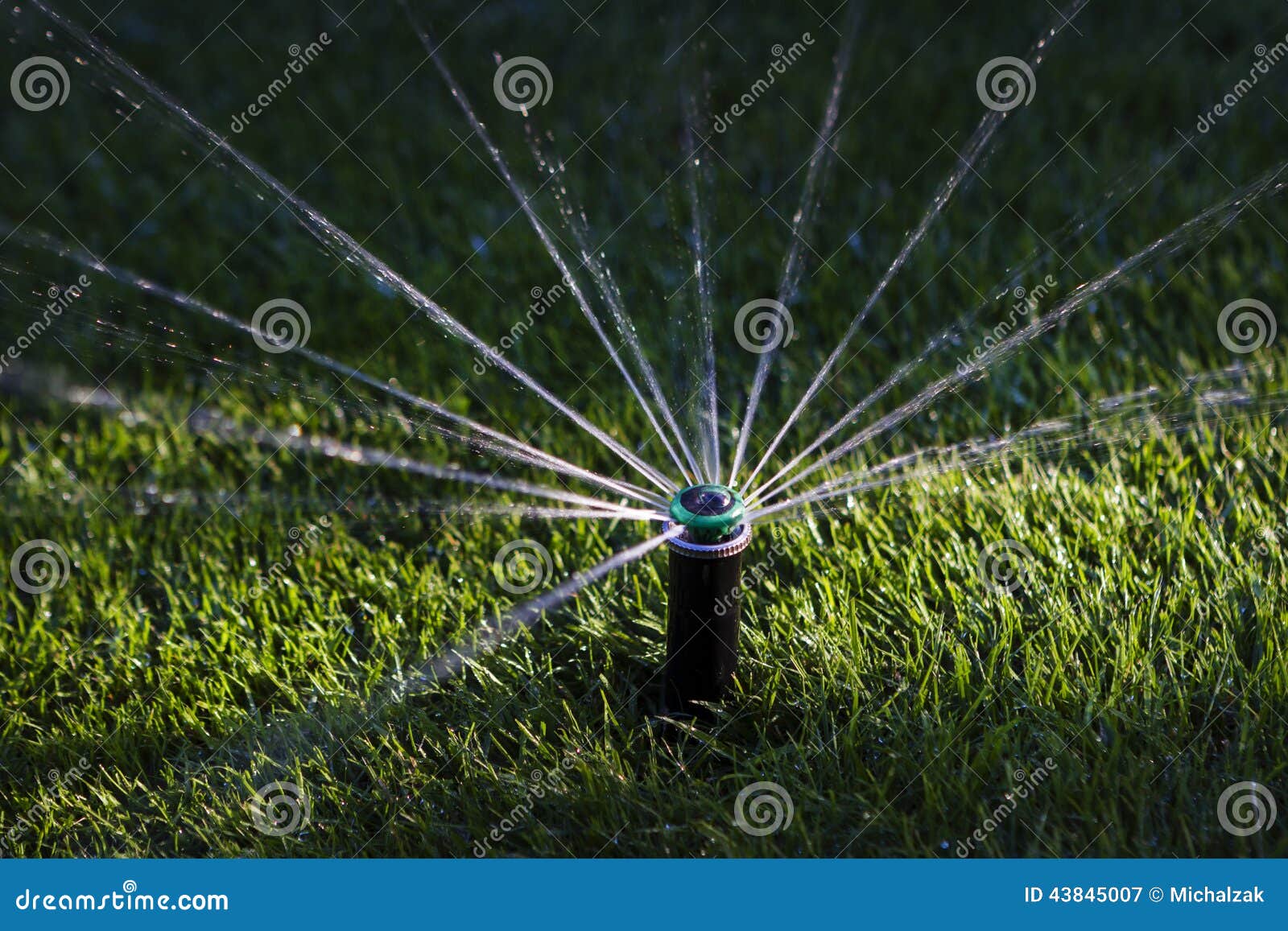 Het Water Geven Van De Sproeier Gras Stock Afbeelding - Image of tuin ...