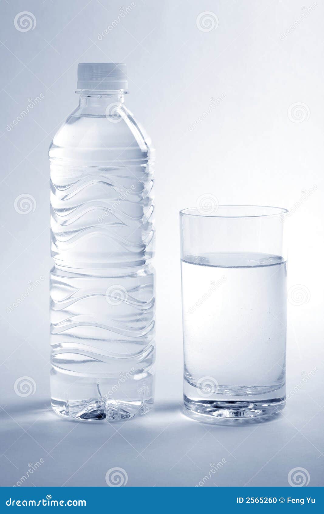 Het water van de fles stock foto. Image of glas, gezond - 2565260