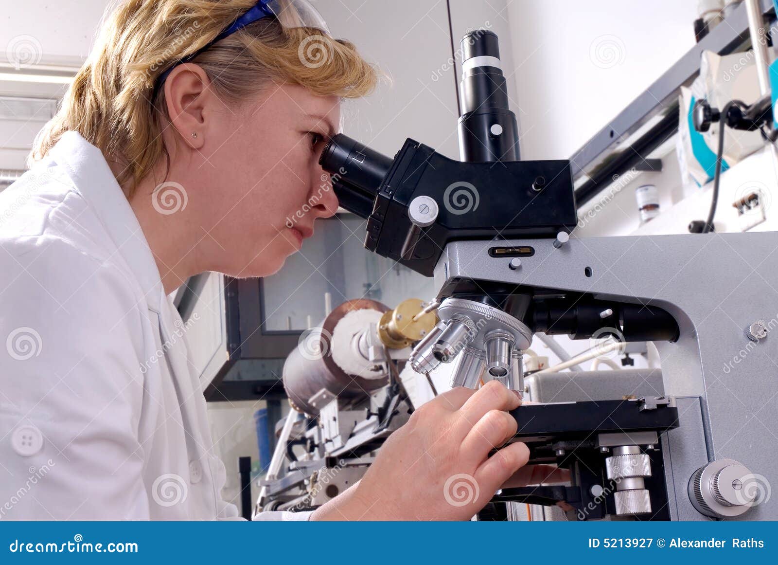 Het Werk in Het Laboratorium Stock Afbeelding - Image of biologisch ...
