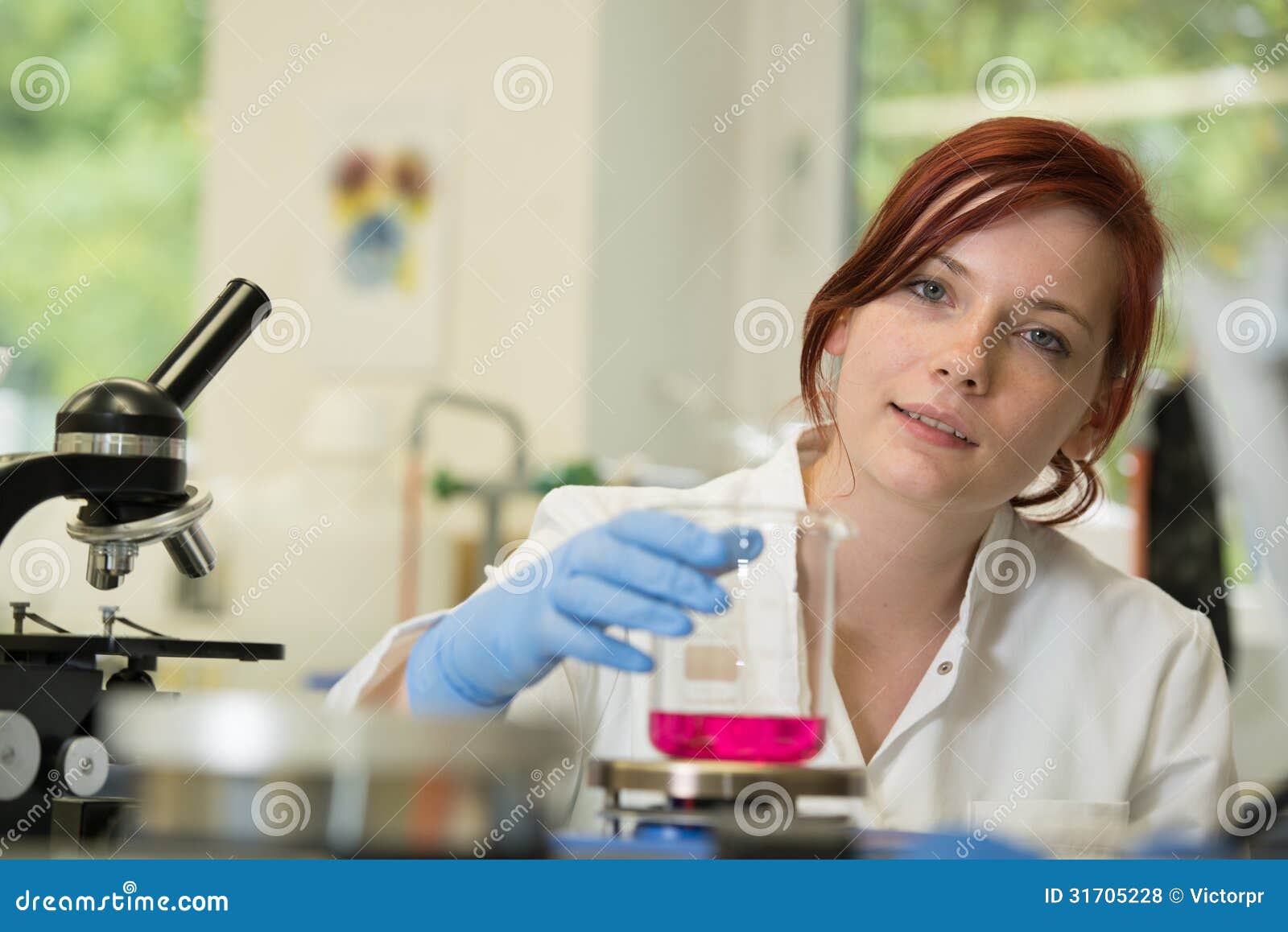 Het werk in laboratorium stock foto. Image of wijfje - 31705228