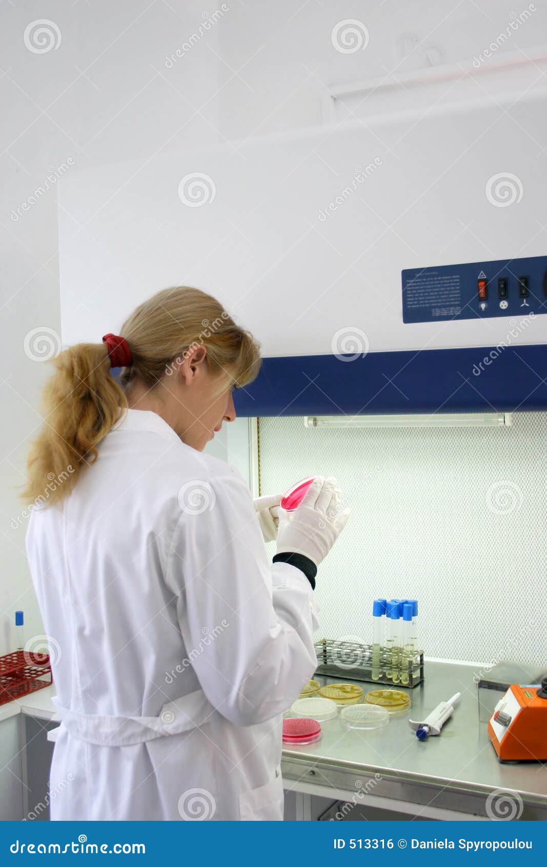 Het Werk Van Het Laboratorium Stock Foto - Image of microbioloog ...